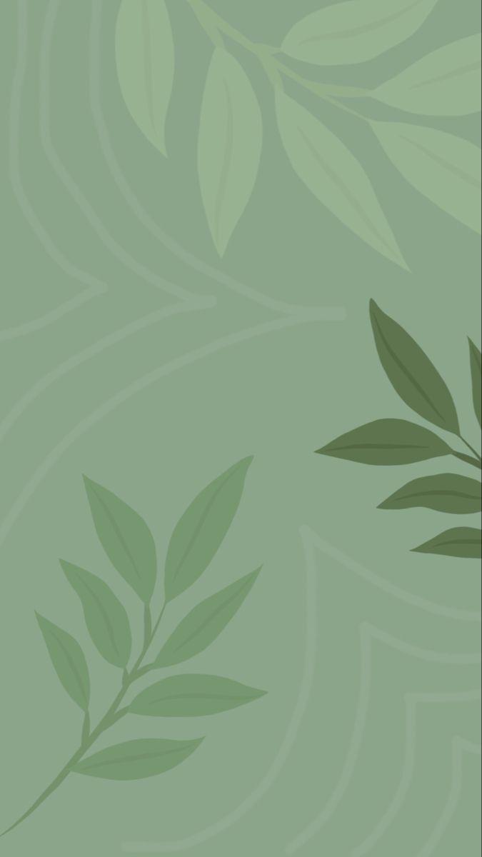 Light Green Pattern Wallpapers - Top Free Light Green Pattern ...