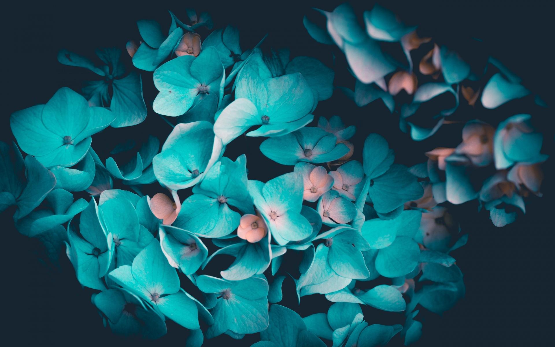 Teal 4K Wallpapers - Top Free Teal 4K Backgrounds - WallpaperAccess