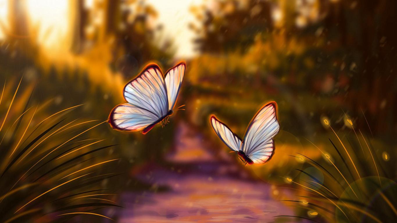 Light Butterfly Wallpapers - Top Free Light Butterfly Backgrounds ...