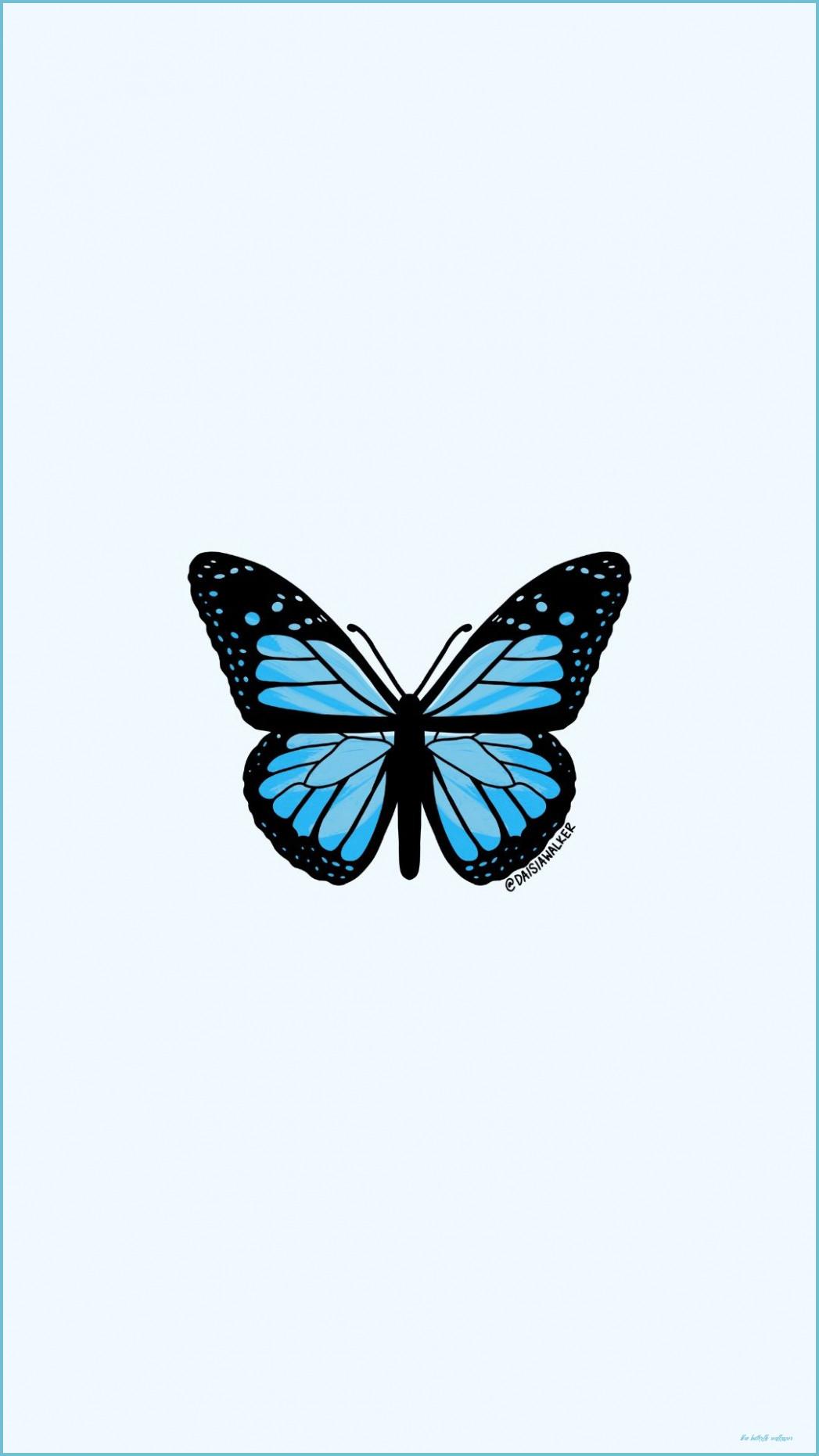 Light Butterfly Wallpapers - Top Free Light Butterfly Backgrounds ...