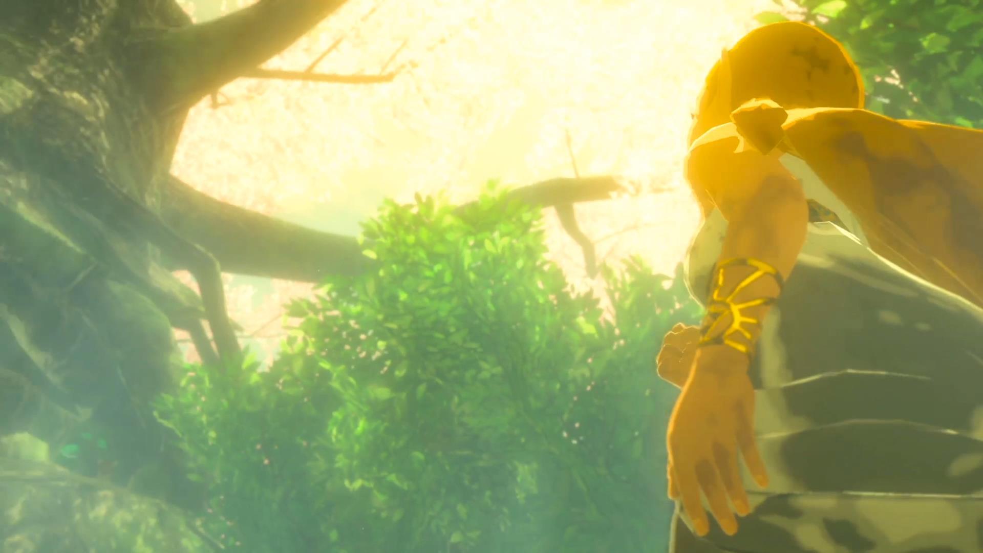 Deku Tree Wallpapers - Top Free Deku Tree Backgrounds - WallpaperAccess