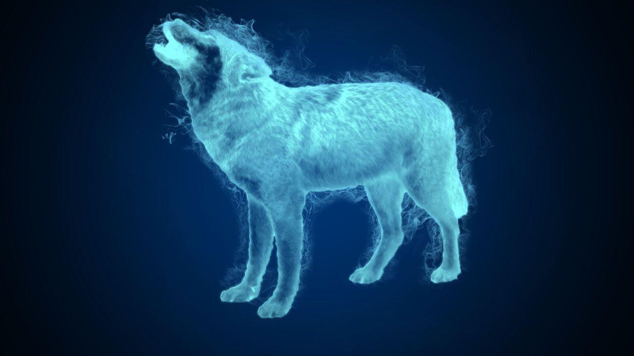 Flaming Wolf Wallpapers - Top Free Flaming Wolf Backgrounds ...
