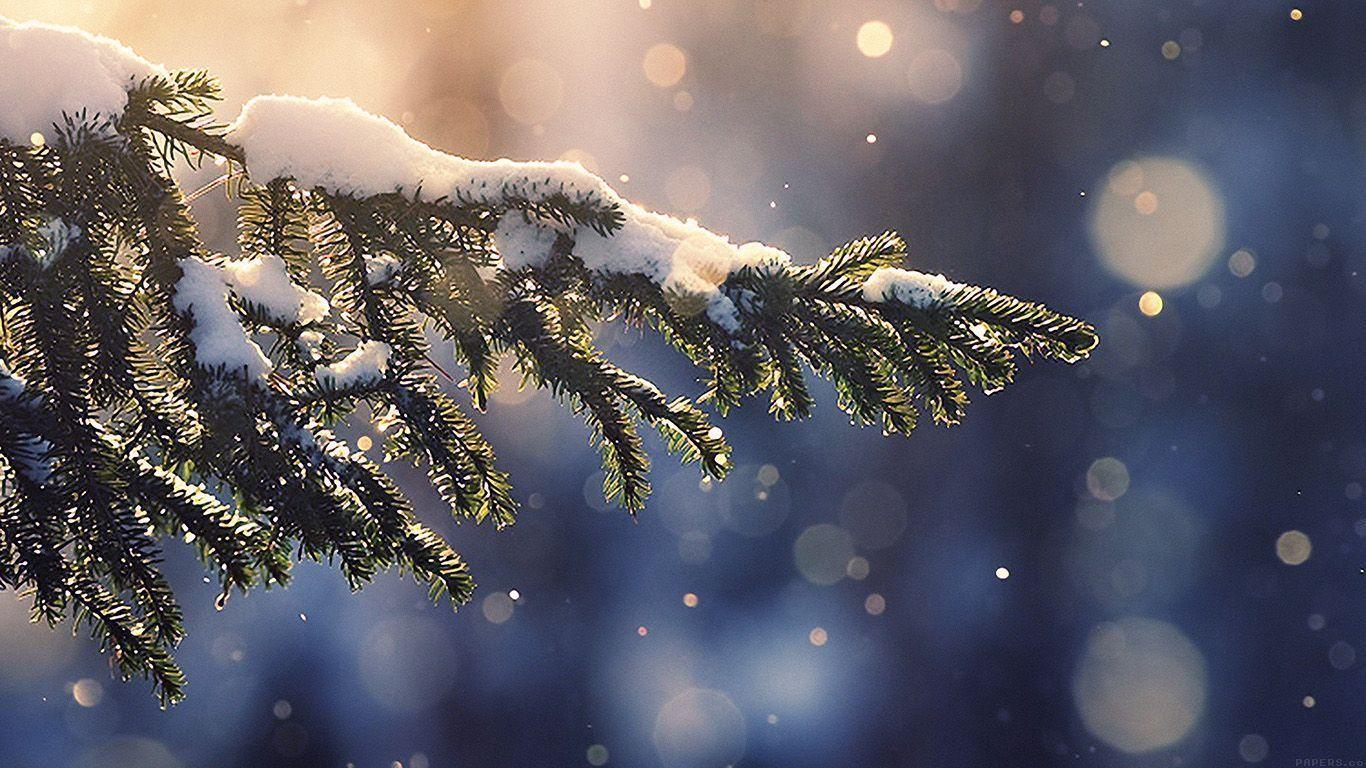 Christmas Macbook Wallpapers - Top Free Christmas Macbook Backgrounds ...