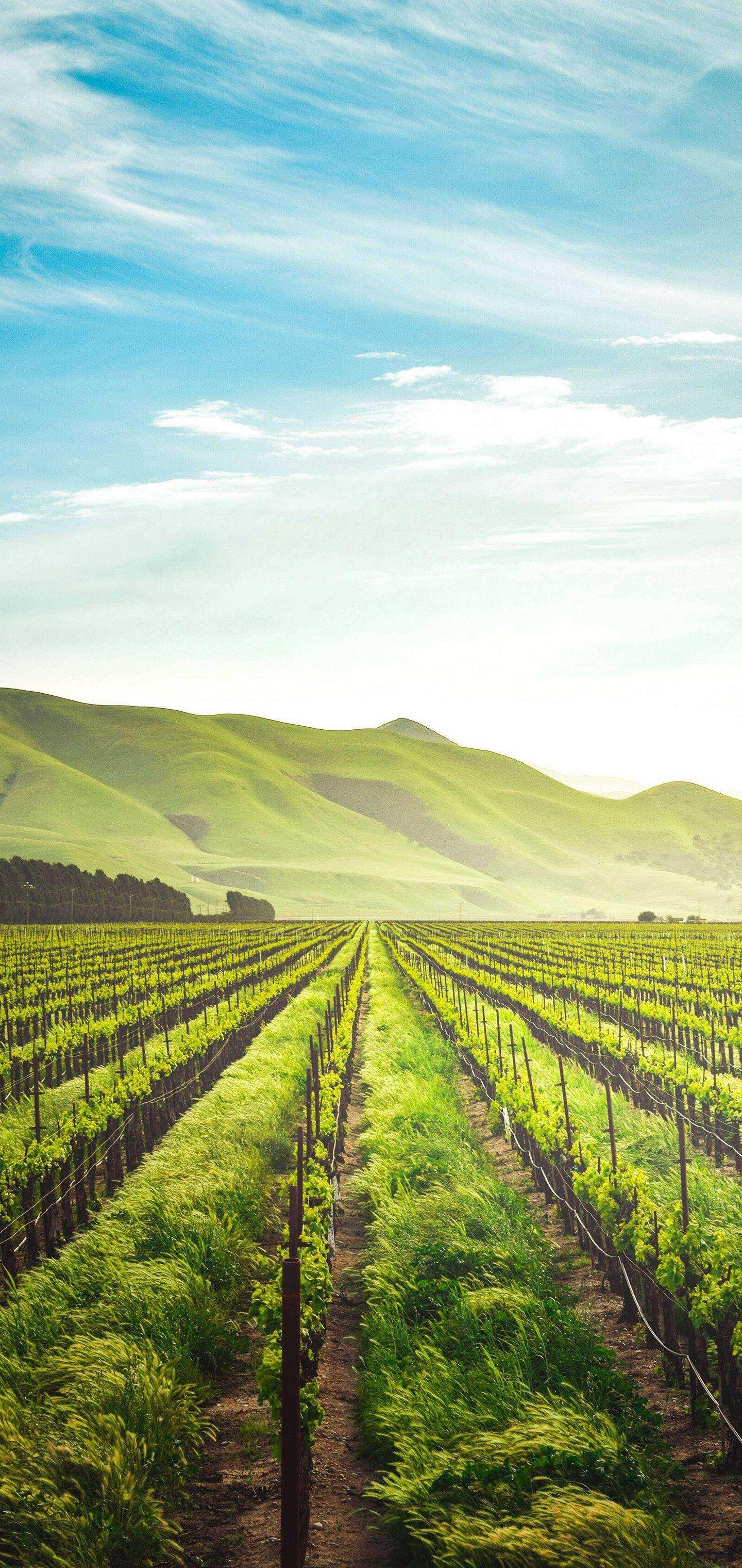 Village Nature Wallpapers - Top Free Village Nature Backgrounds ...