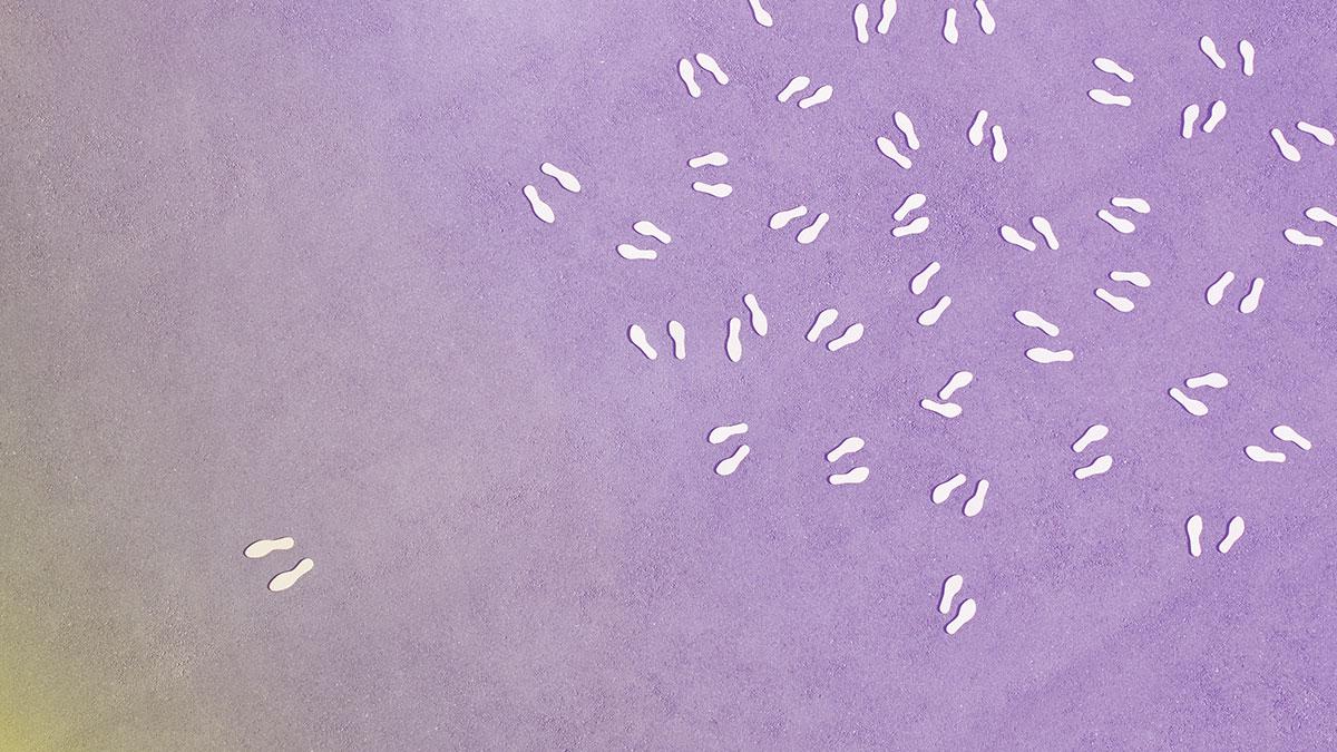 Turnover Wallpapers - Top Free Turnover Backgrounds - WallpaperAccess