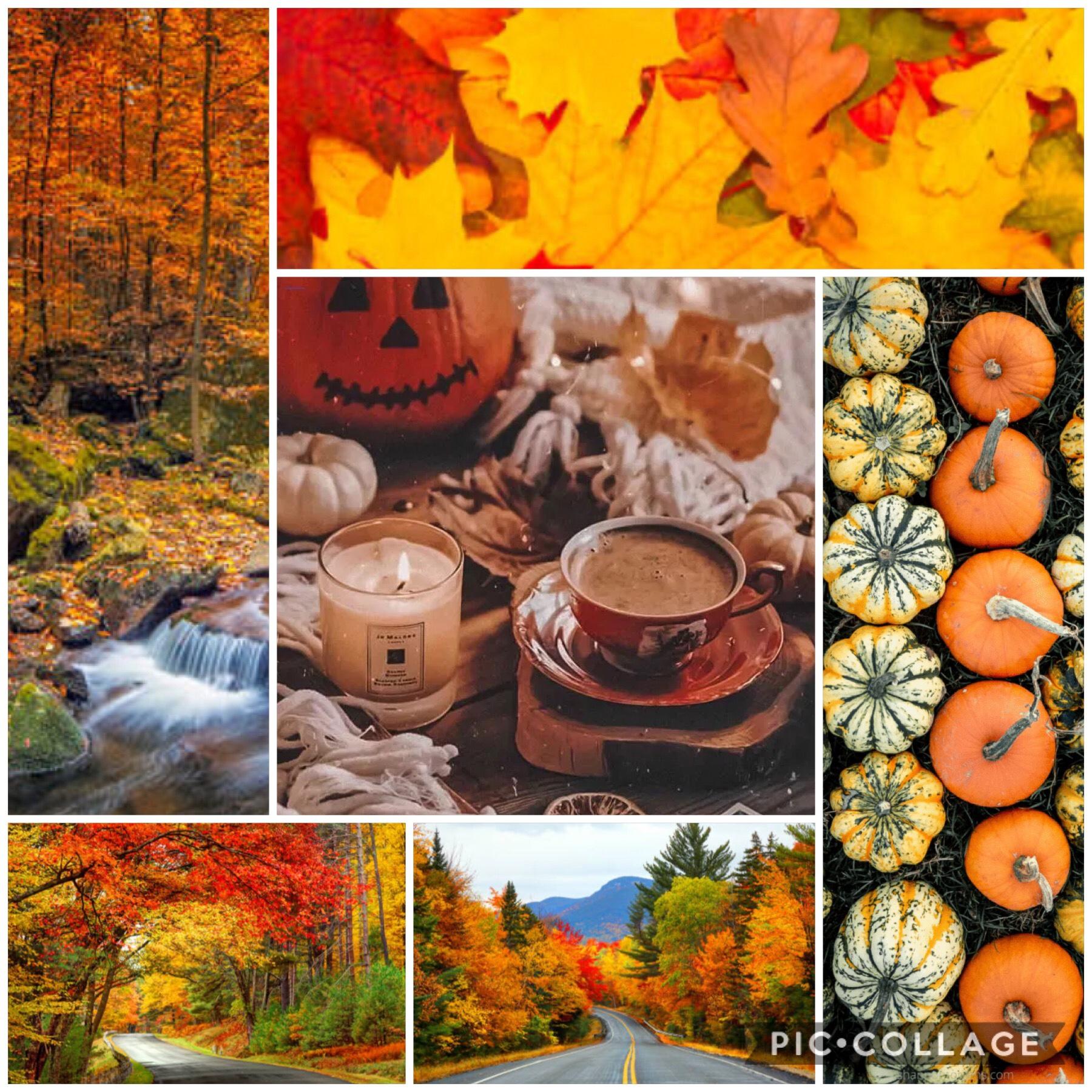 Autumn Collage Wallpapers - Top Free Autumn Collage Backgrounds ...