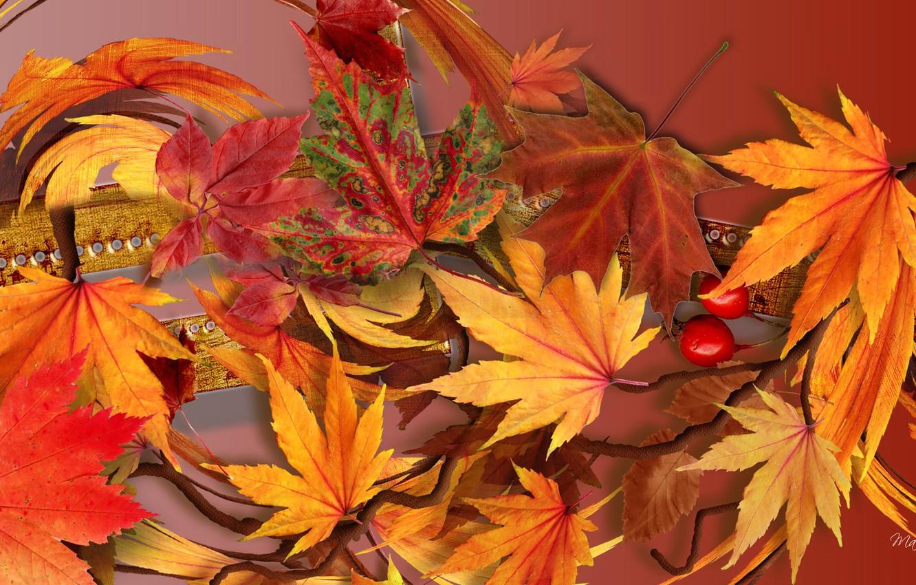 Autumn Collage Wallpapers - Top Free Autumn Collage Backgrounds ...