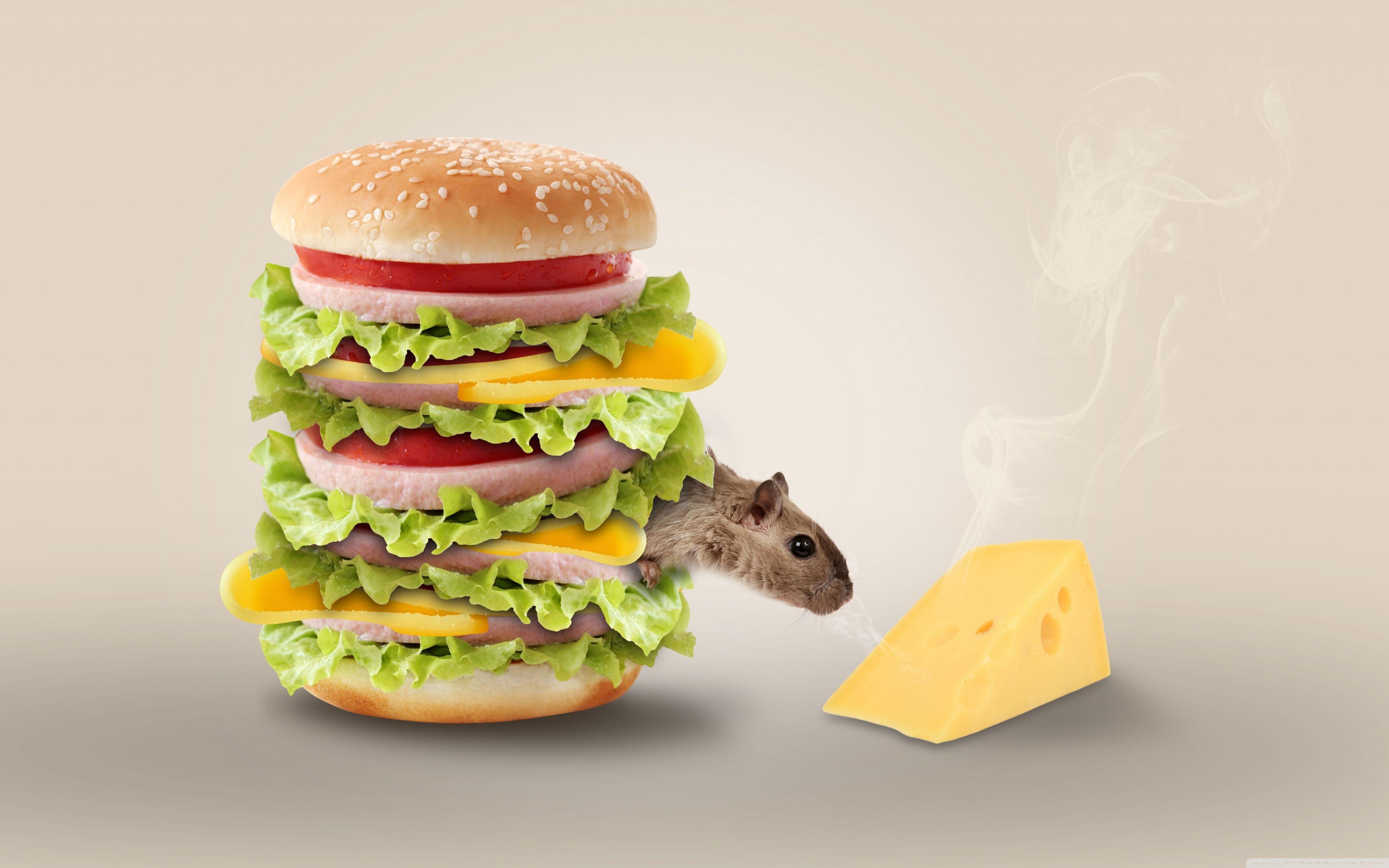 Cute Hamburger Wallpapers - Top Free Cute Hamburger Backgrounds ...