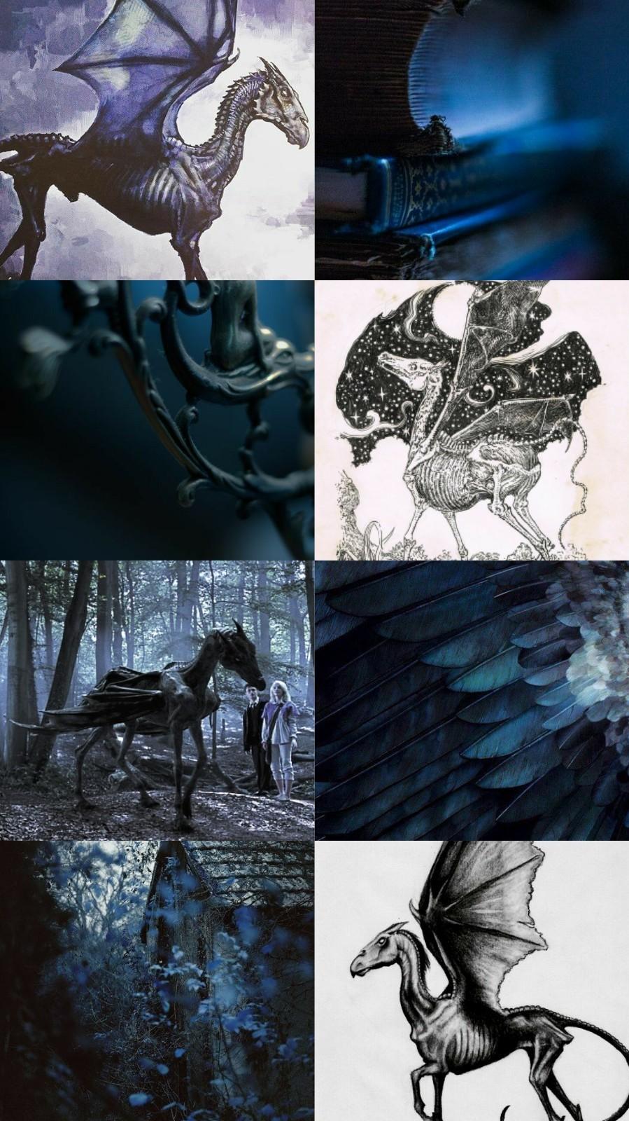 Thestral Wallpapers - Top Free Thestral Backgrounds - WallpaperAccess