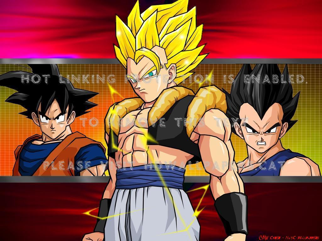 DBZ Fusion Wallpapers - Top Free DBZ Fusion Backgrounds - WallpaperAccess