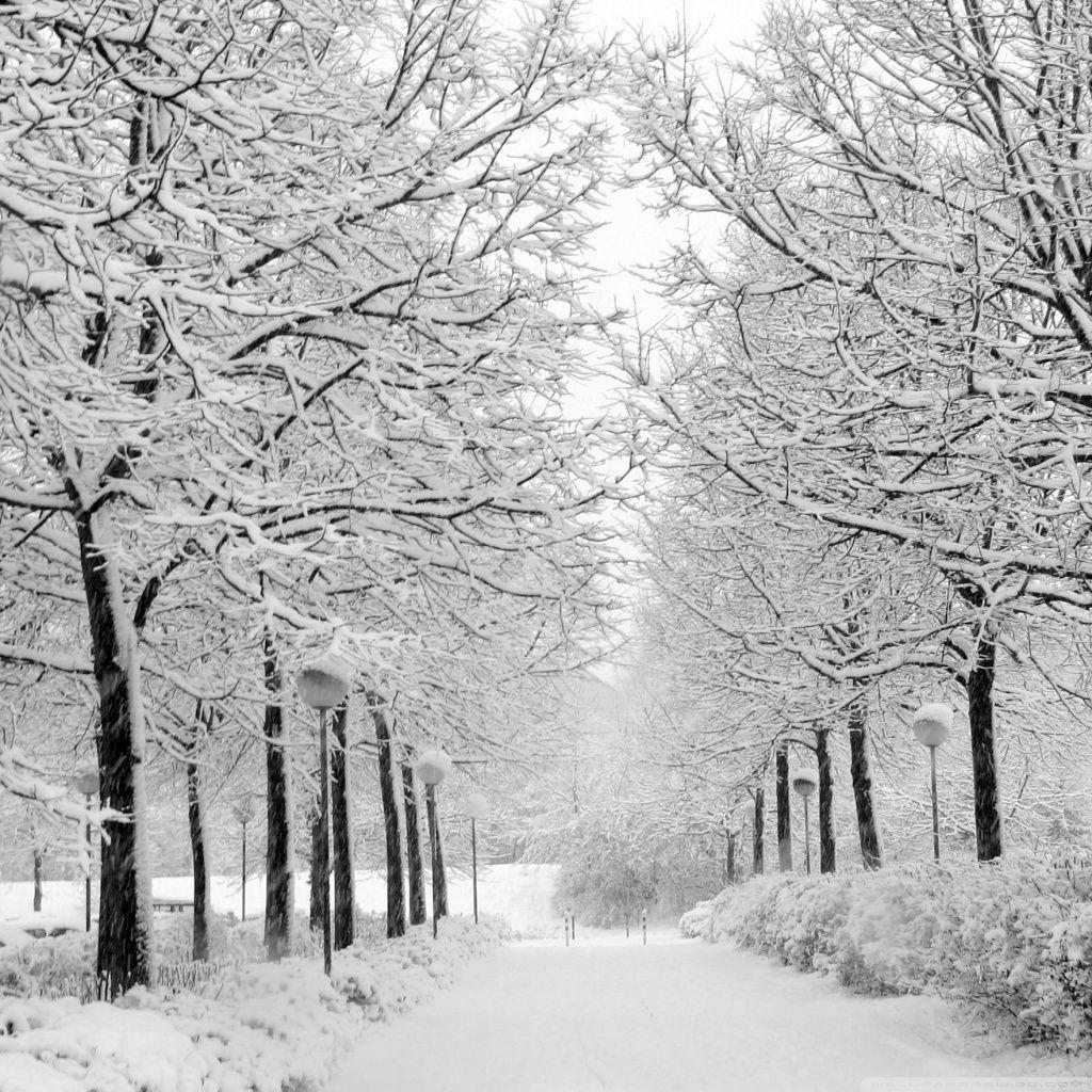 White Winter Wallpapers - Top Free White Winter Backgrounds ...