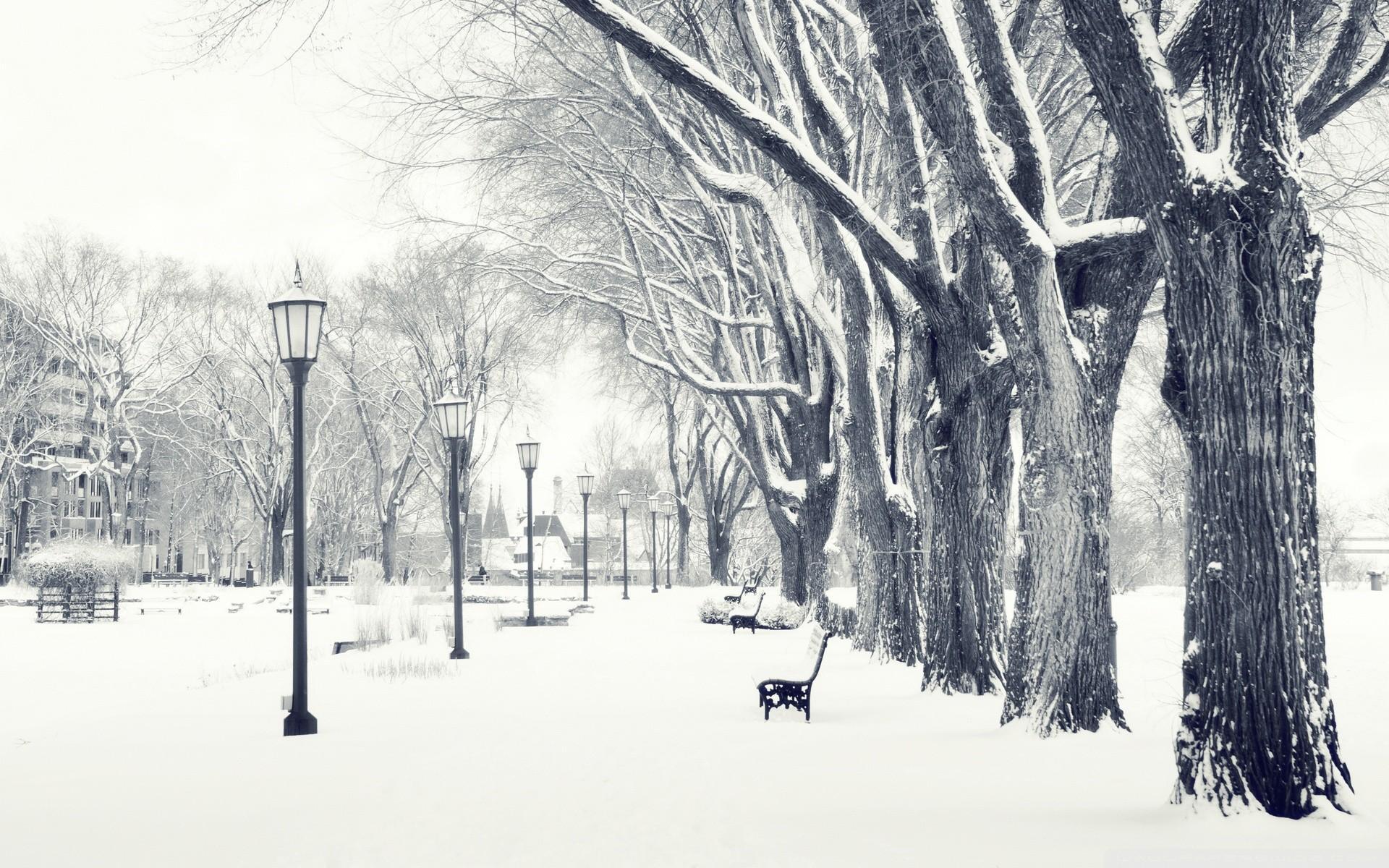 White Winter Wallpapers - Top Free White Winter Backgrounds ...