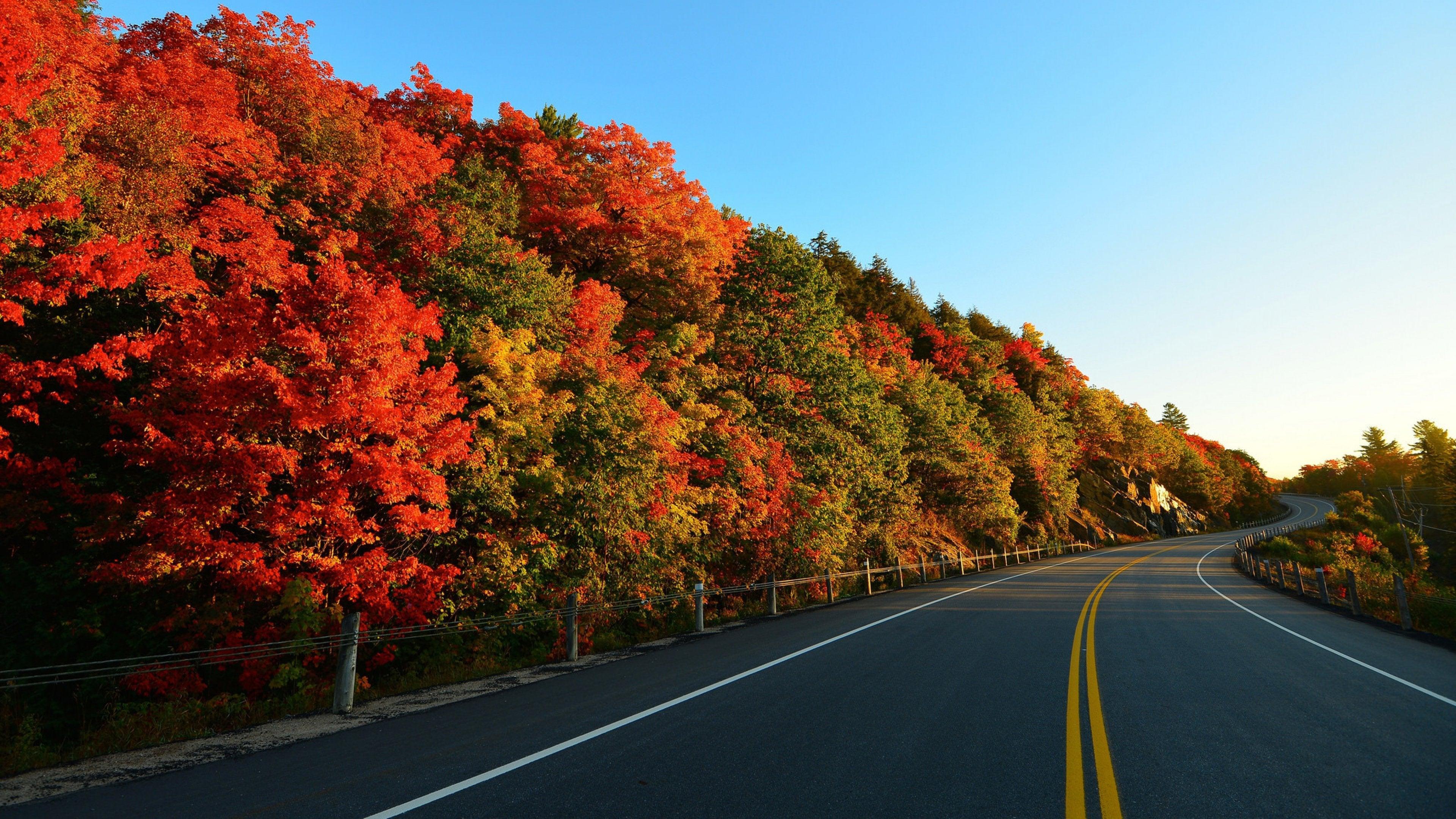Nature Road Wallpapers - Top Free Nature Road Backgrounds - WallpaperAccess