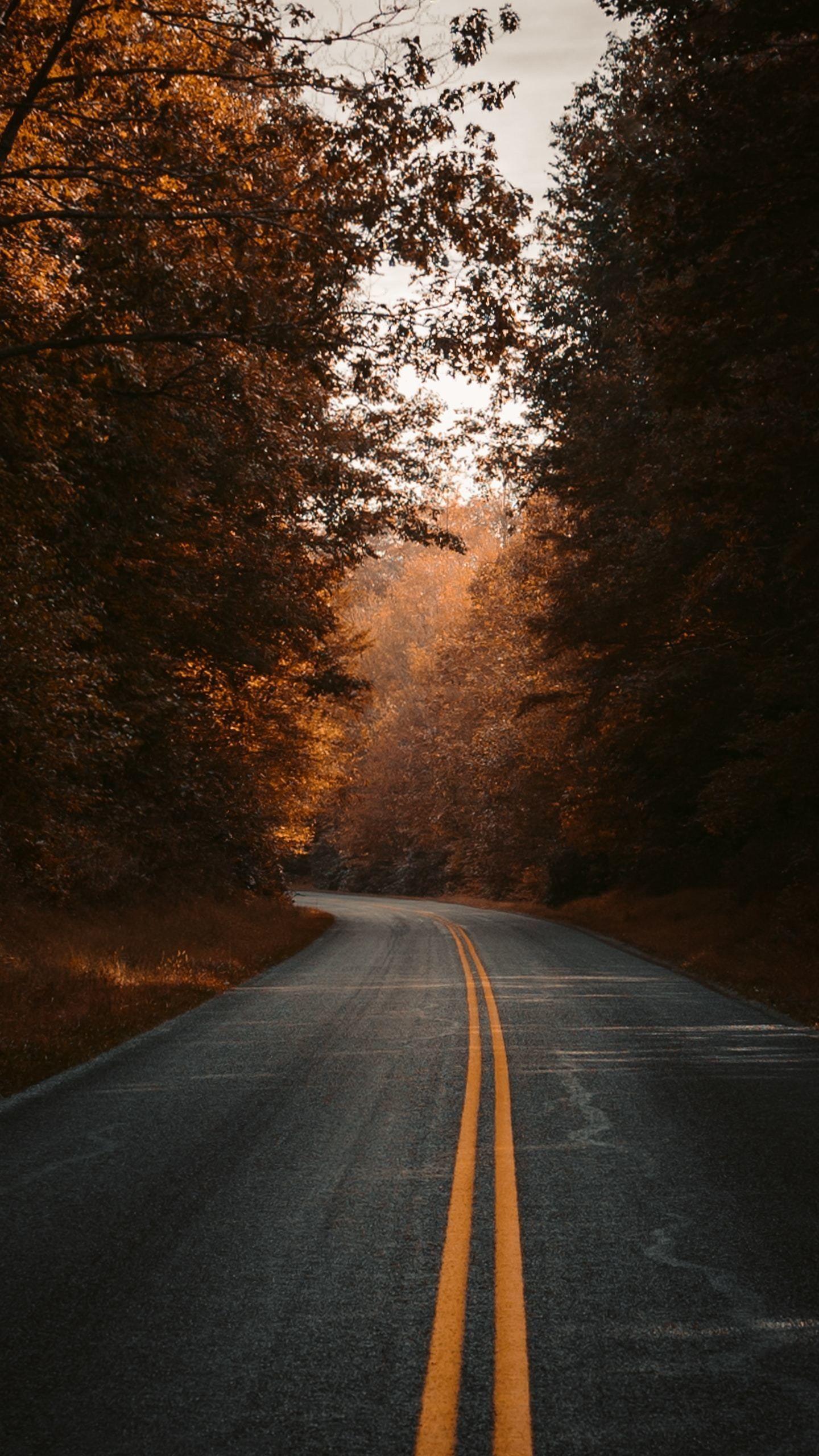 Nature Road Wallpapers - Top Free Nature Road Backgrounds - WallpaperAccess
