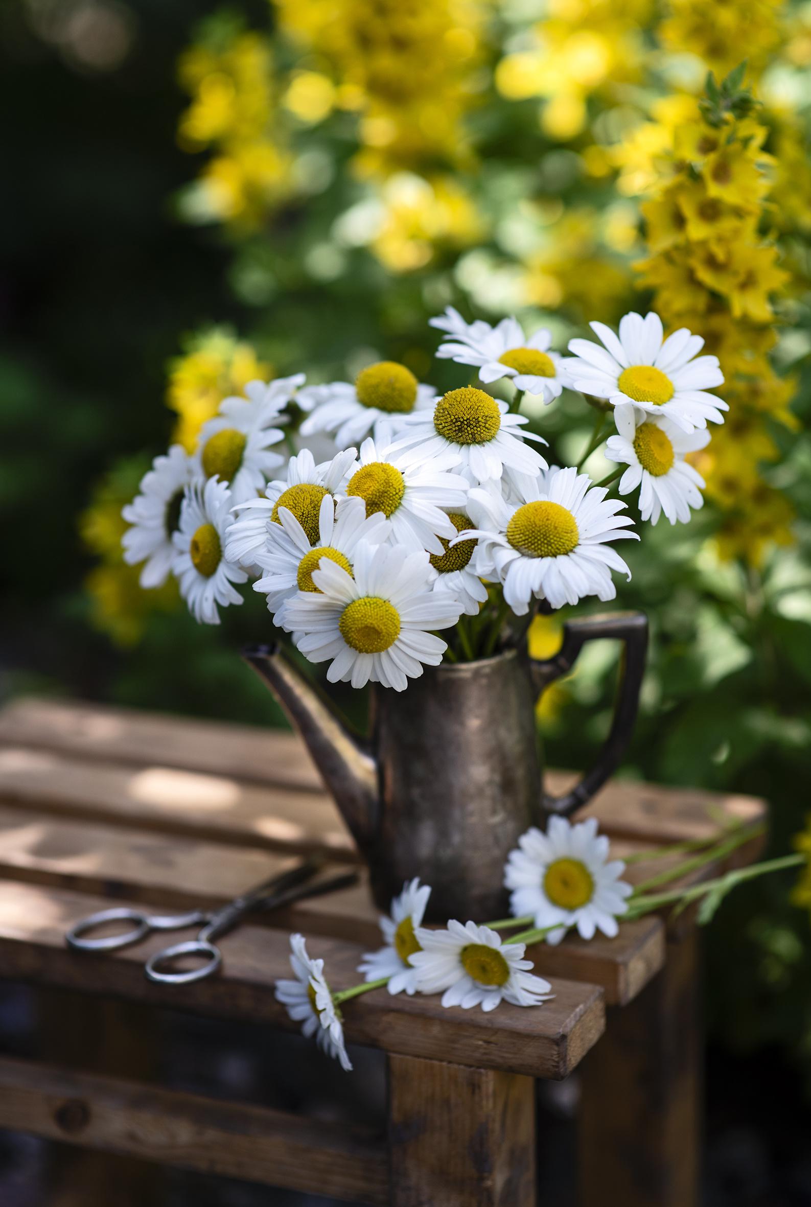 Bokeh Flower Wallpapers - Top Free Bokeh Flower Backgrounds ...