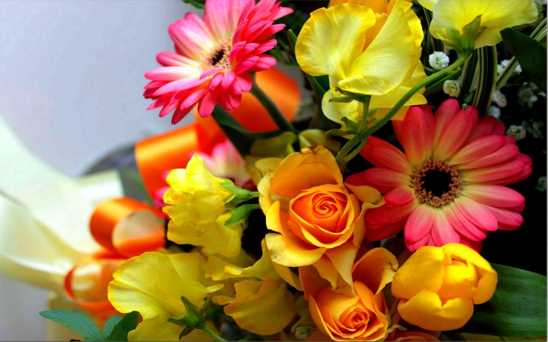 Bokeh Flower Wallpapers - Top Free Bokeh Flower Backgrounds ...