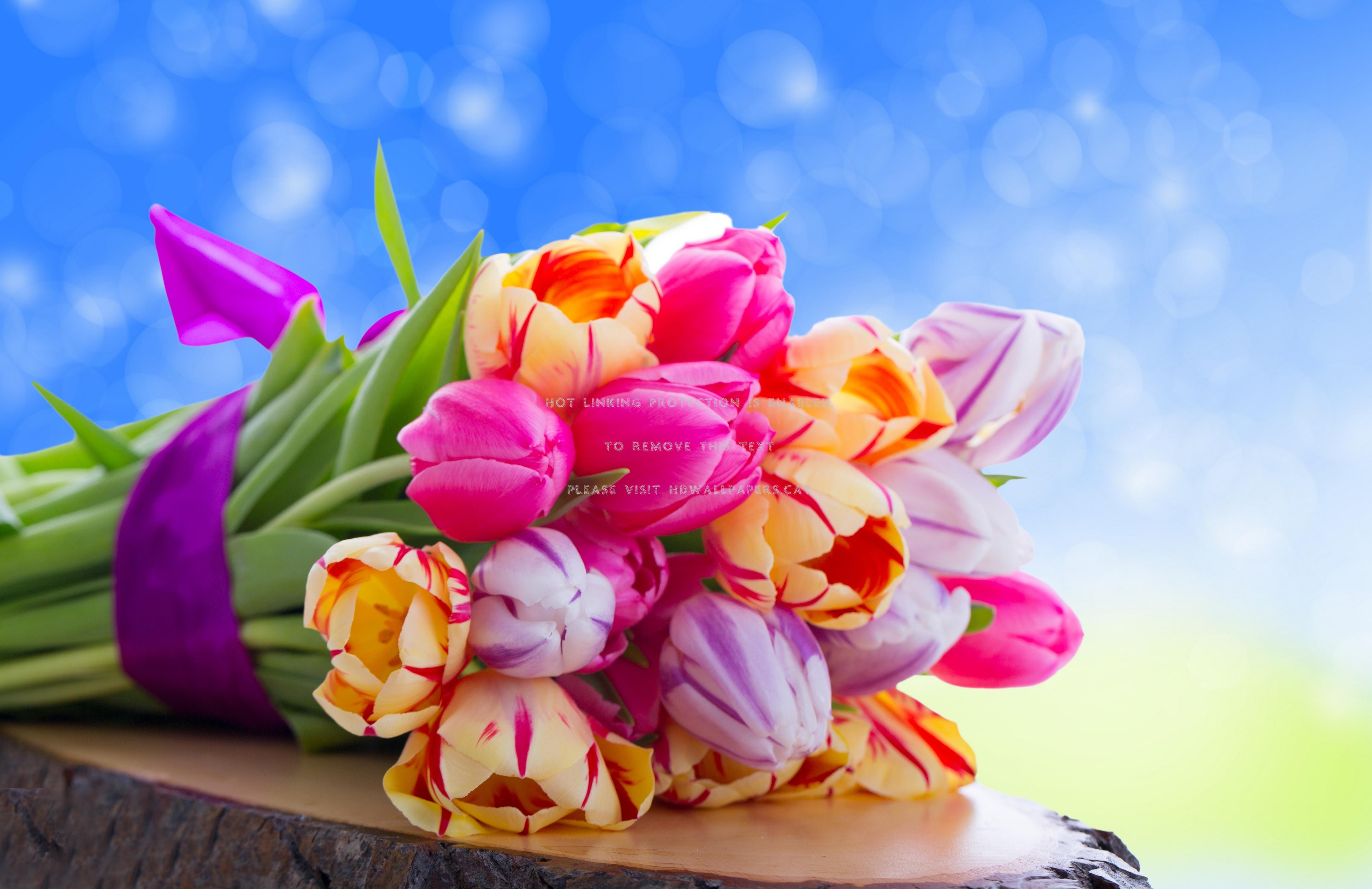 Bokeh Flower Wallpapers - Top Free Bokeh Flower Backgrounds ...