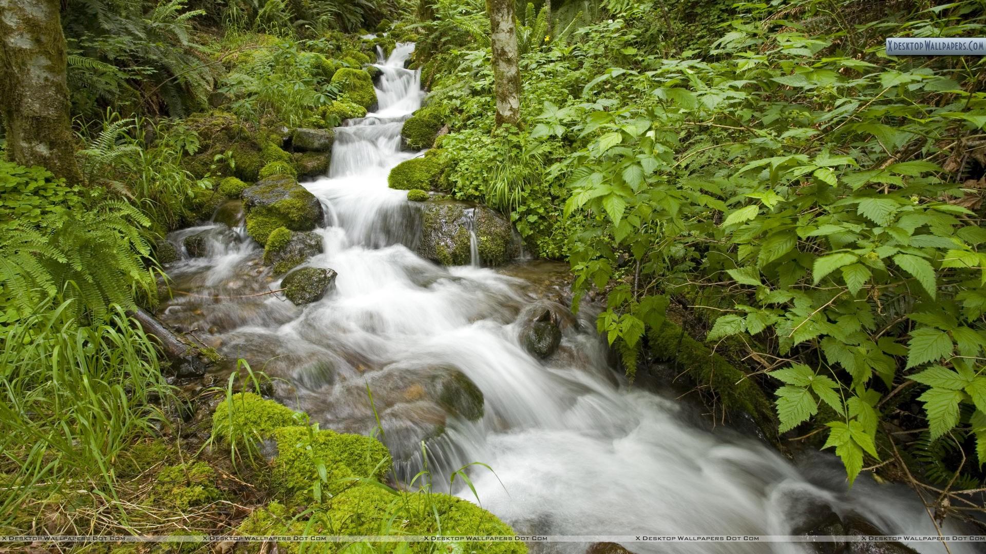 Spring Rivers Desktop Wallpapers - Top Free Spring Rivers Desktop ...