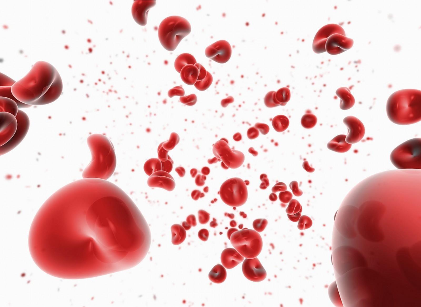 Red Blood Cell Wallpapers - Top Free Red Blood Cell Backgrounds ...