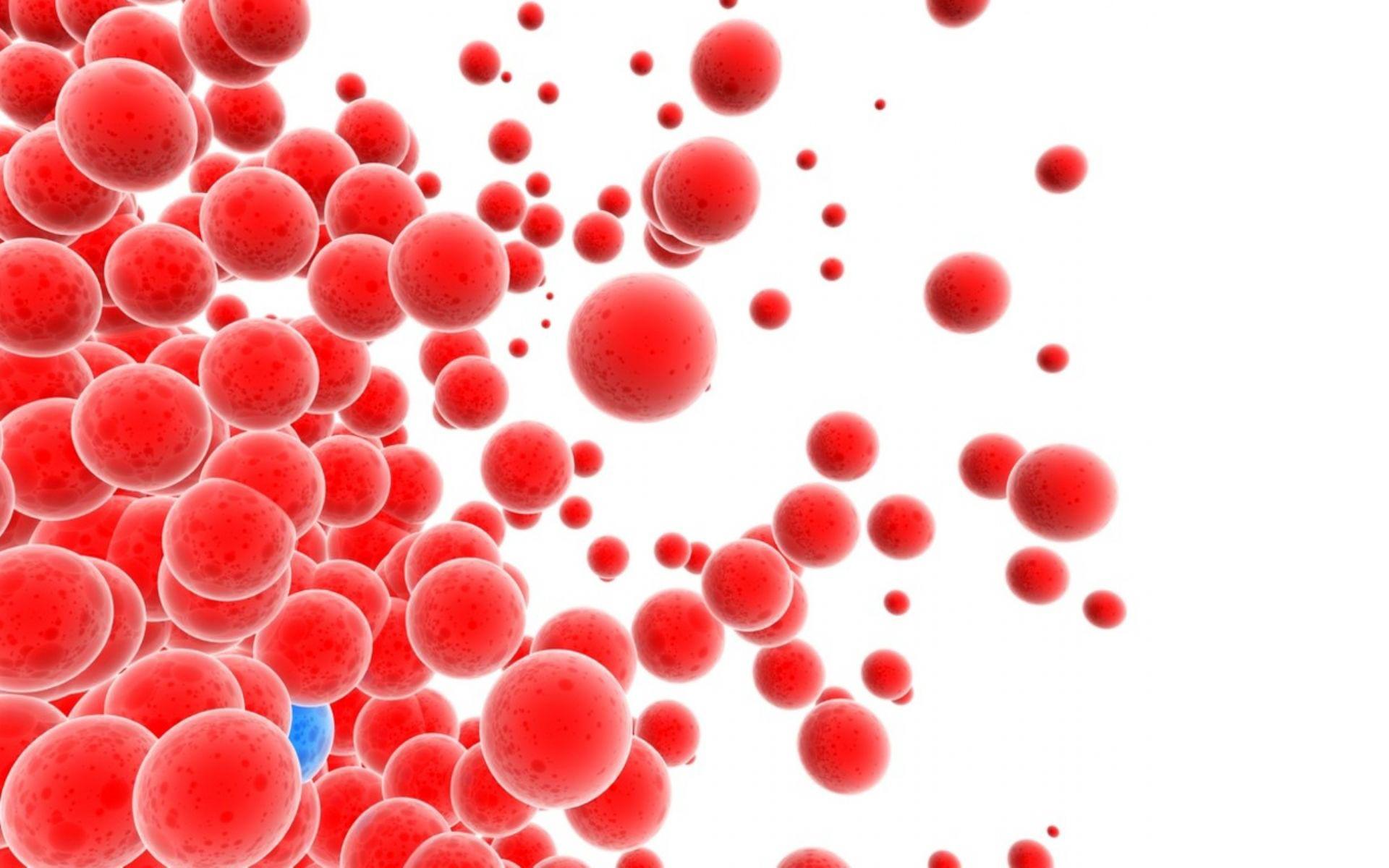 Red Blood Cells Wallpapers - Top Free Red Blood Cells Backgrounds ...