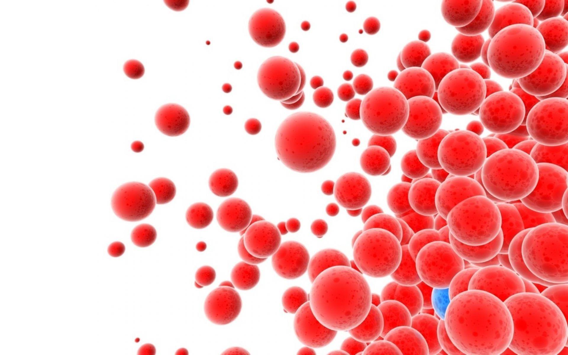 Red Blood Cells Wallpapers - Top Free Red Blood Cells Backgrounds ...