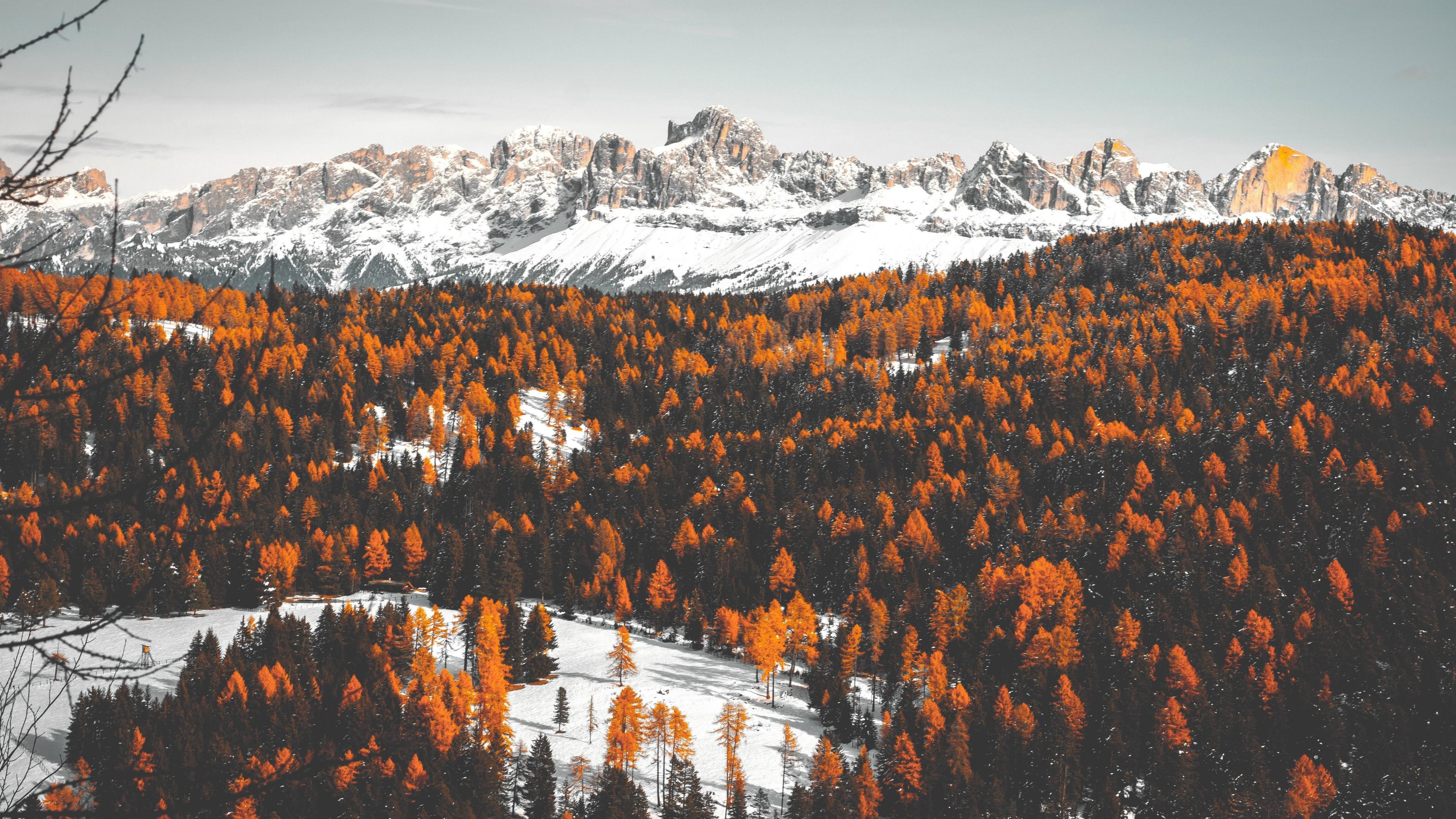 Autumn Snow Wallpapers - Top Free Autumn Snow Backgrounds - WallpaperAccess