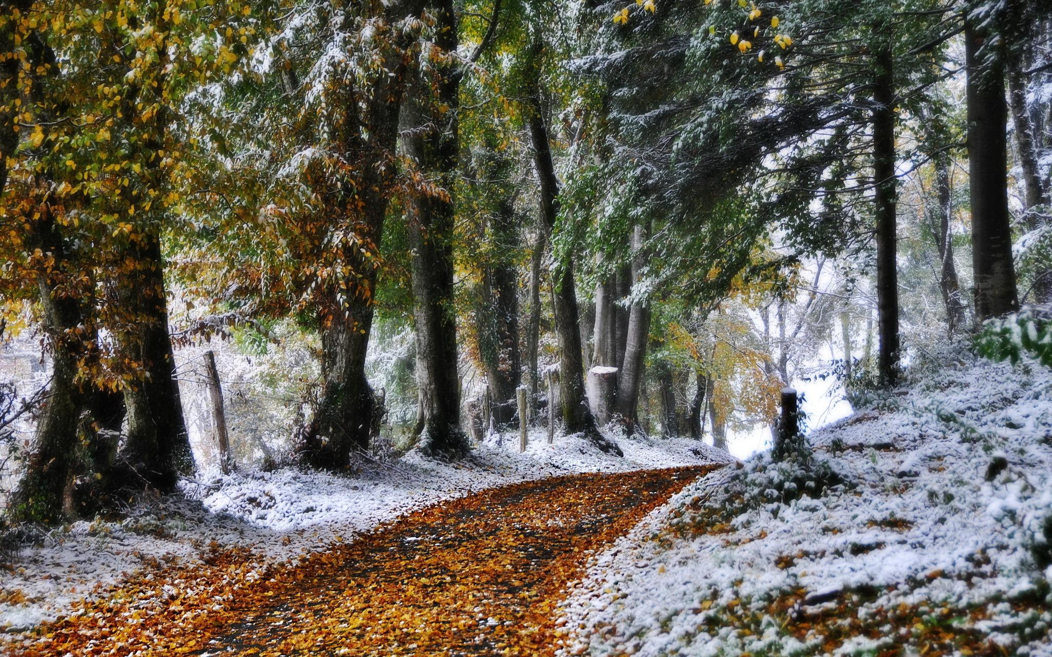 Autumn Snow Wallpapers - Top Free Autumn Snow Backgrounds - WallpaperAccess