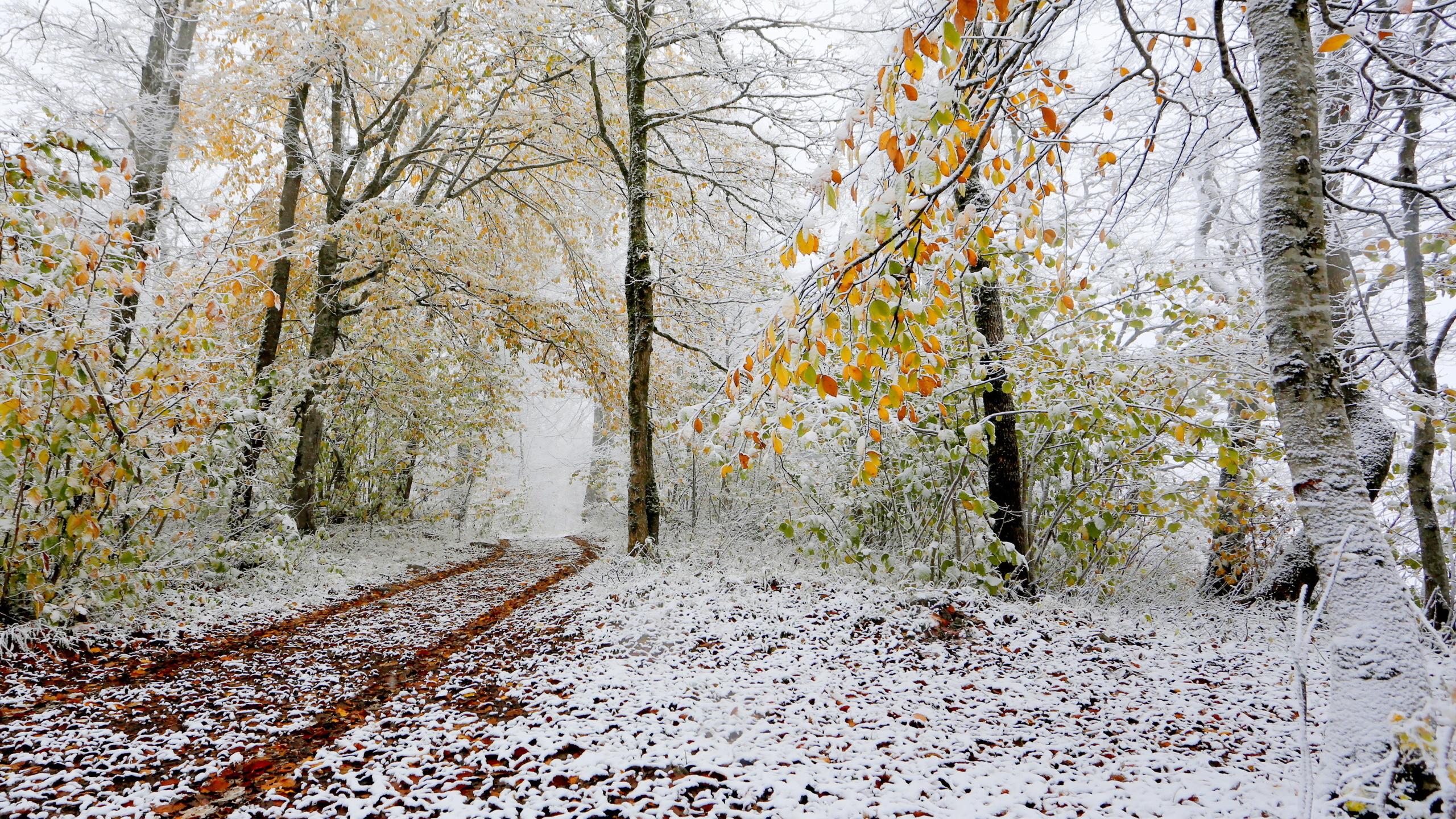 Autumn Snow Wallpapers - Top Free Autumn Snow Backgrounds - WallpaperAccess