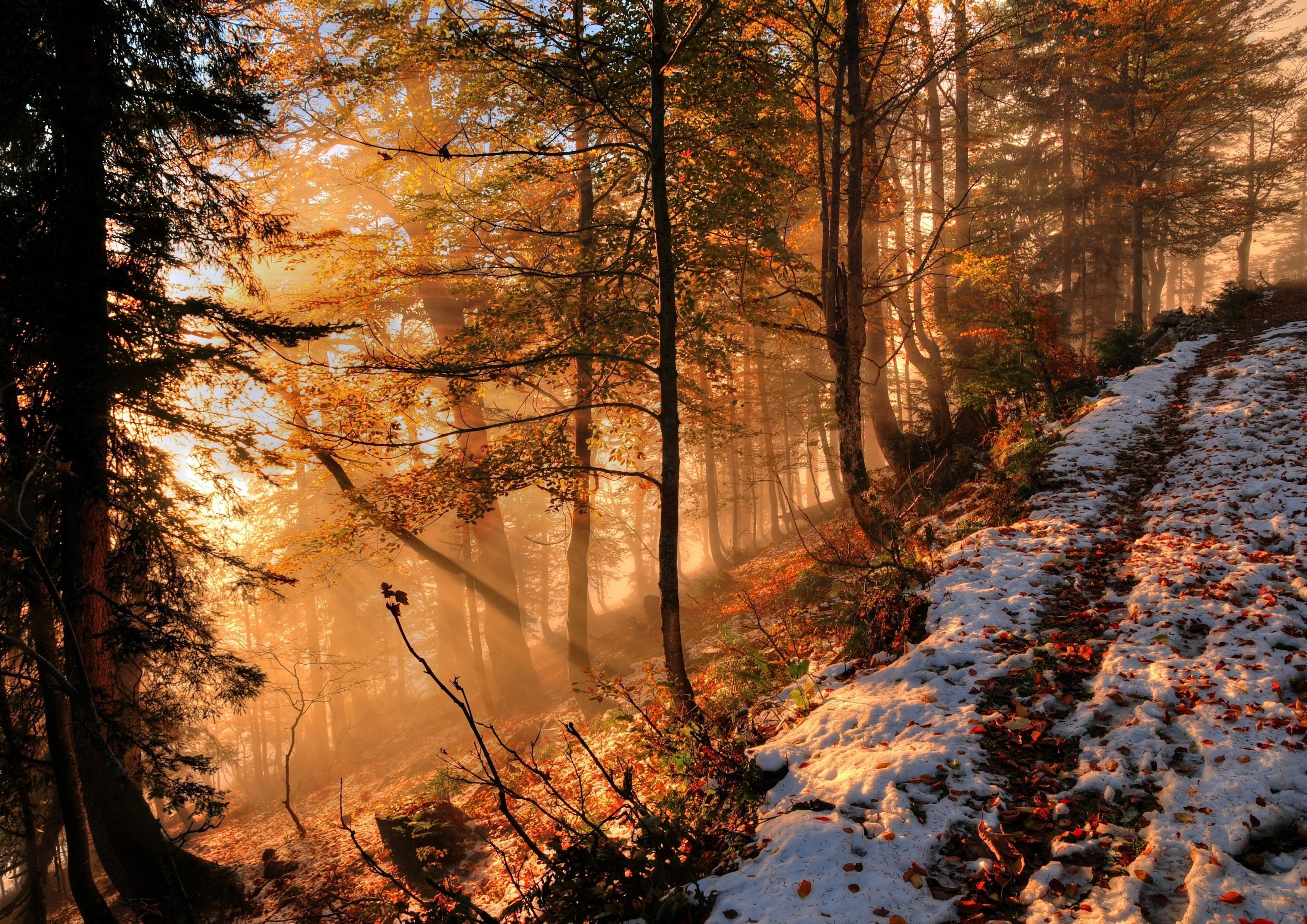 Autumn Snow Wallpapers - Top Free Autumn Snow Backgrounds - WallpaperAccess