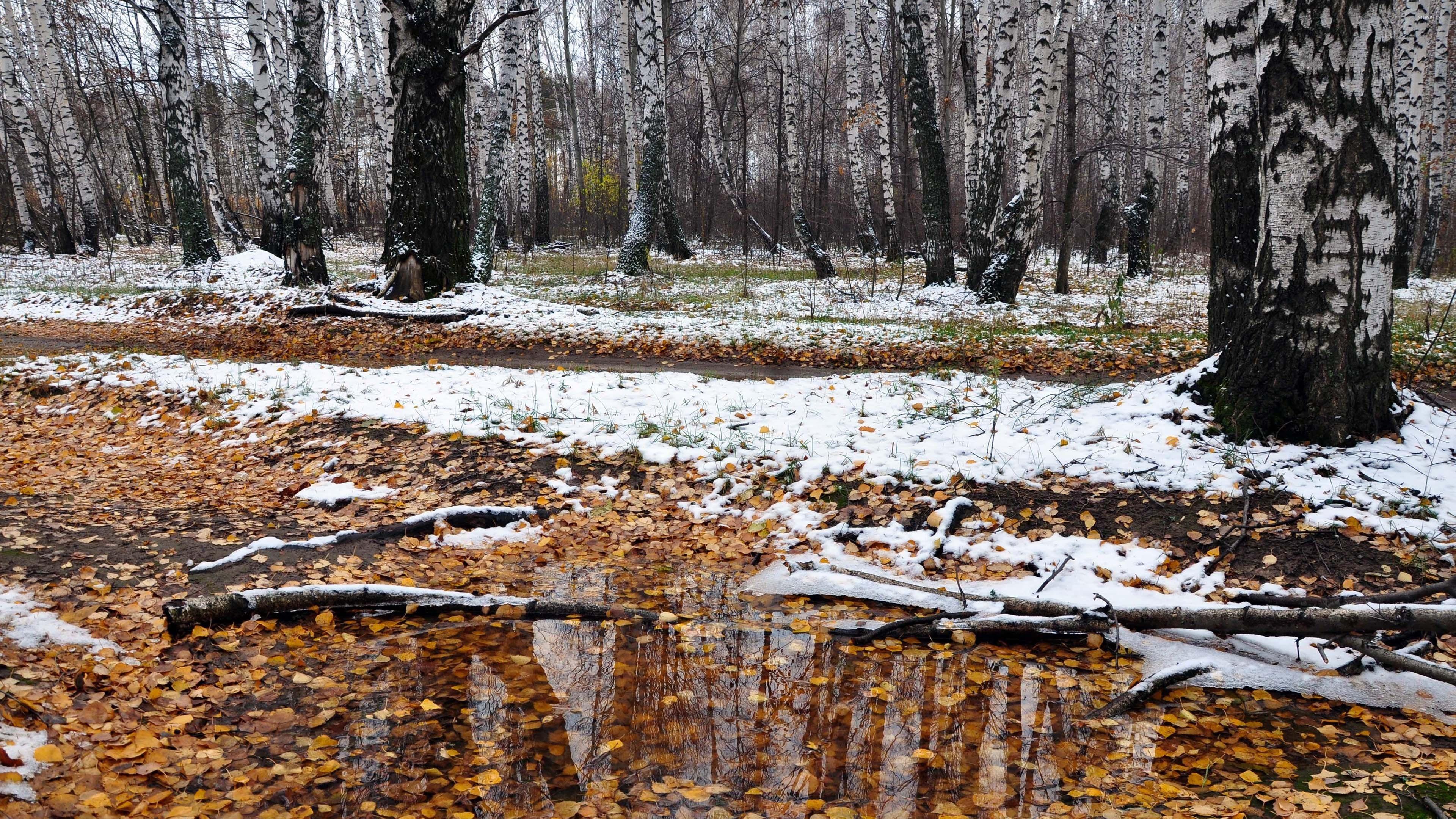 Autumn Snow Wallpapers - Top Free Autumn Snow Backgrounds - WallpaperAccess