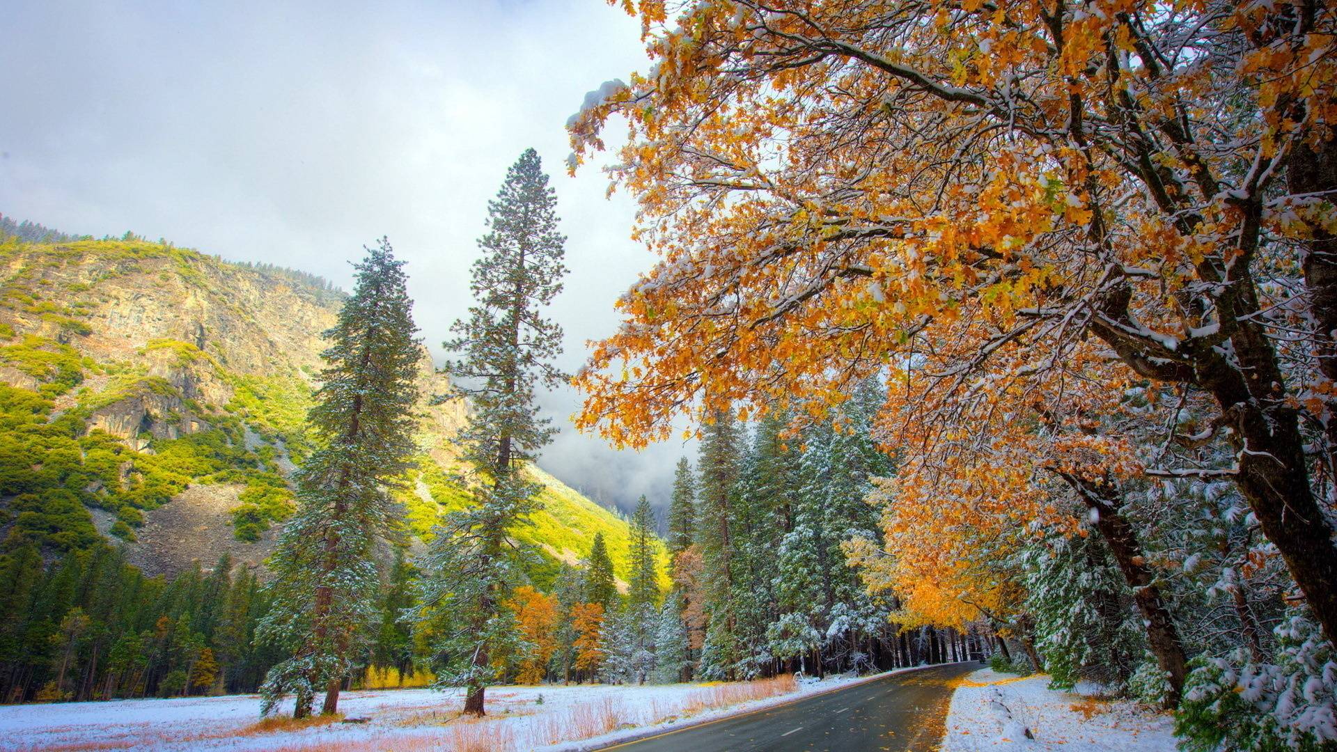 Autumn Snow Wallpapers - Top Free Autumn Snow Backgrounds - WallpaperAccess