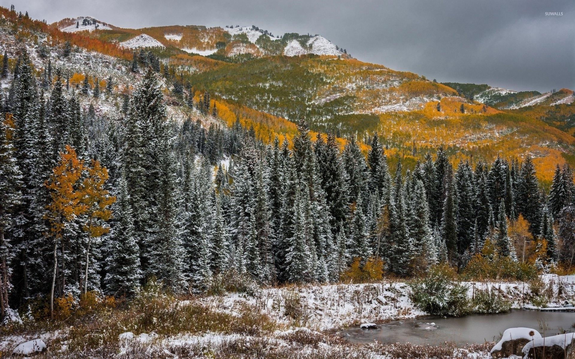 Autumn Snow Wallpapers - Top Free Autumn Snow Backgrounds - WallpaperAccess