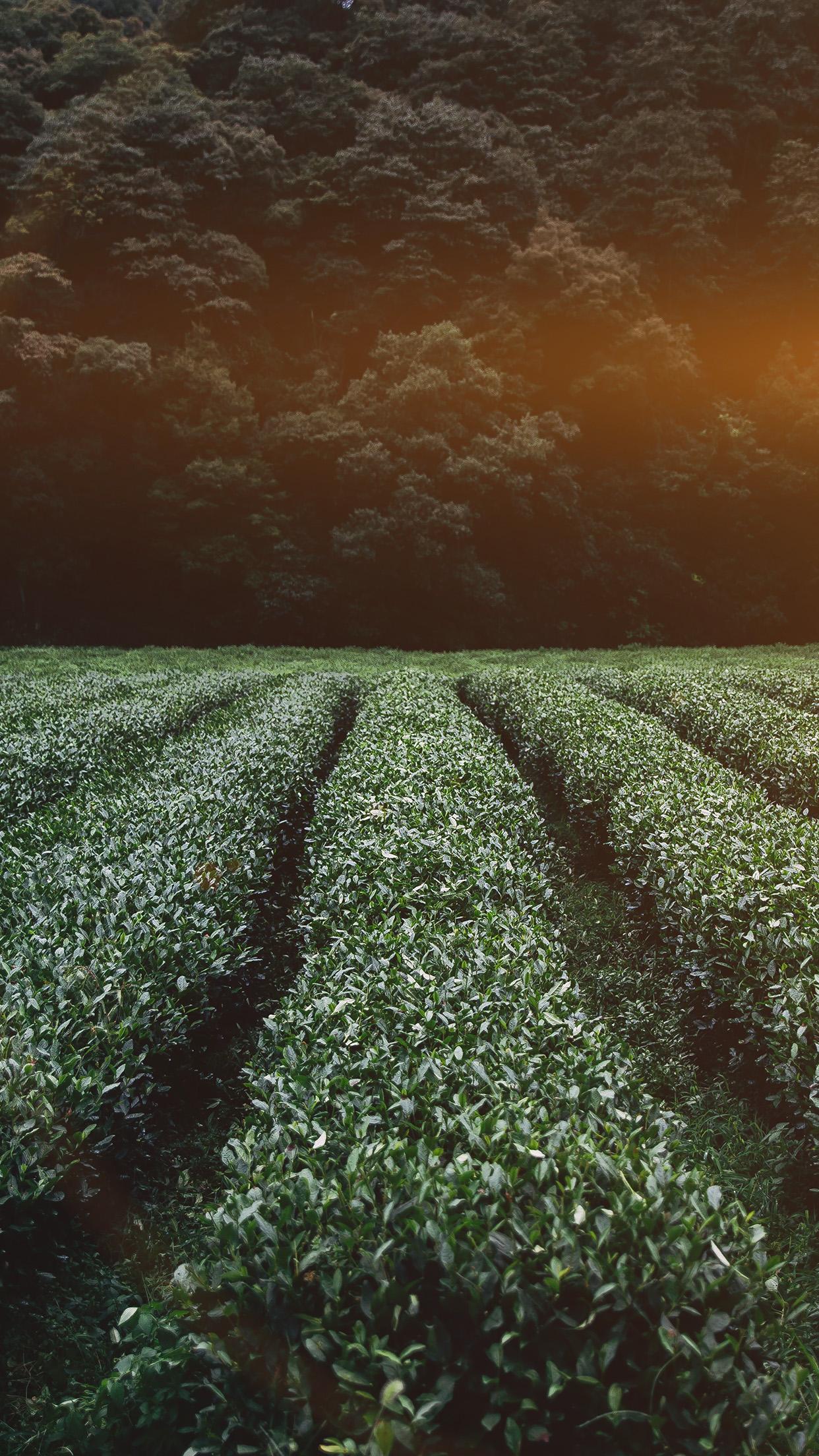 Farming iPhone Wallpapers - Top Free Farming iPhone Backgrounds ...