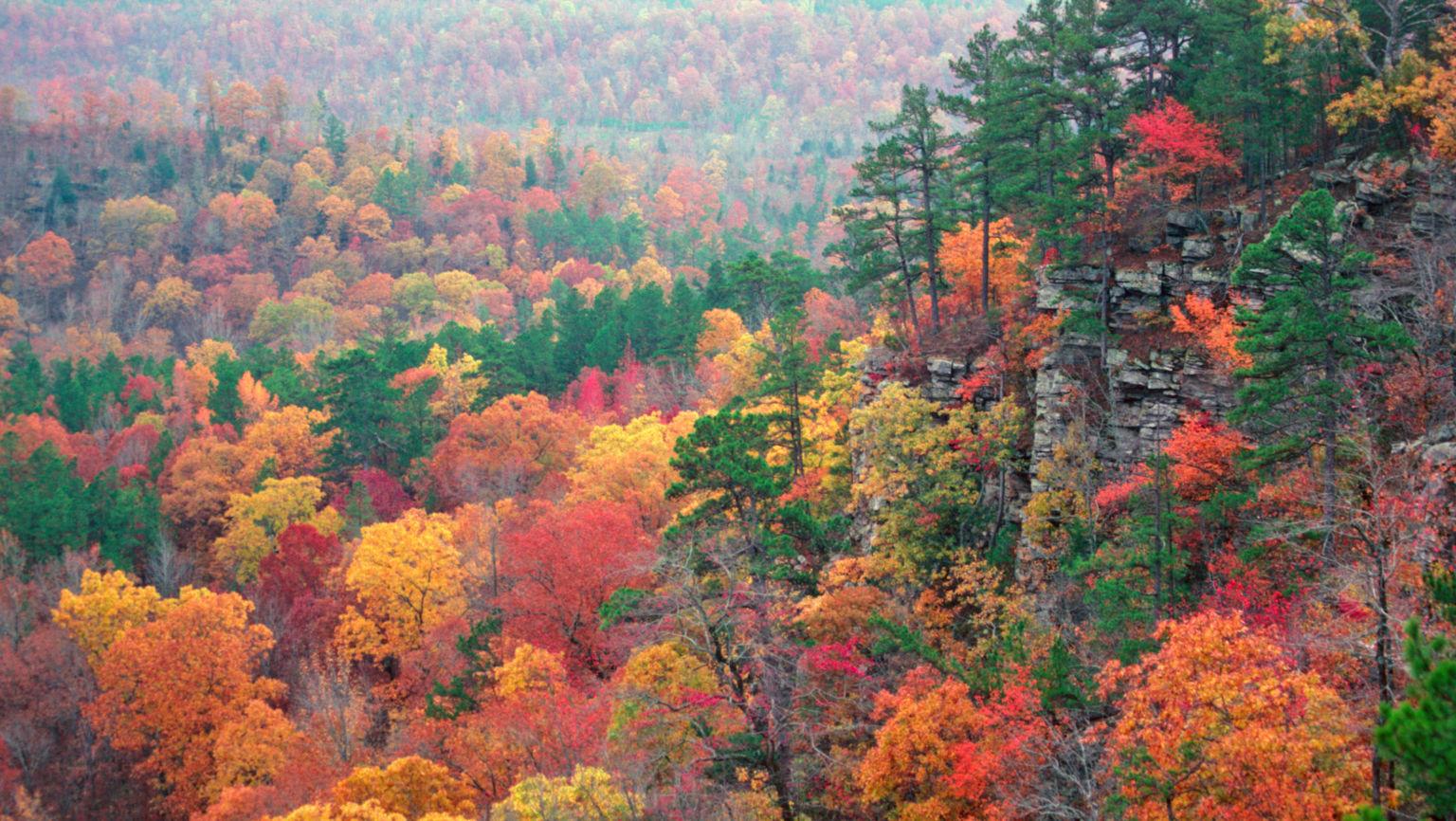 Ozark Mountains Wallpapers - Top Free Ozark Mountains Backgrounds - WallpaperAccess