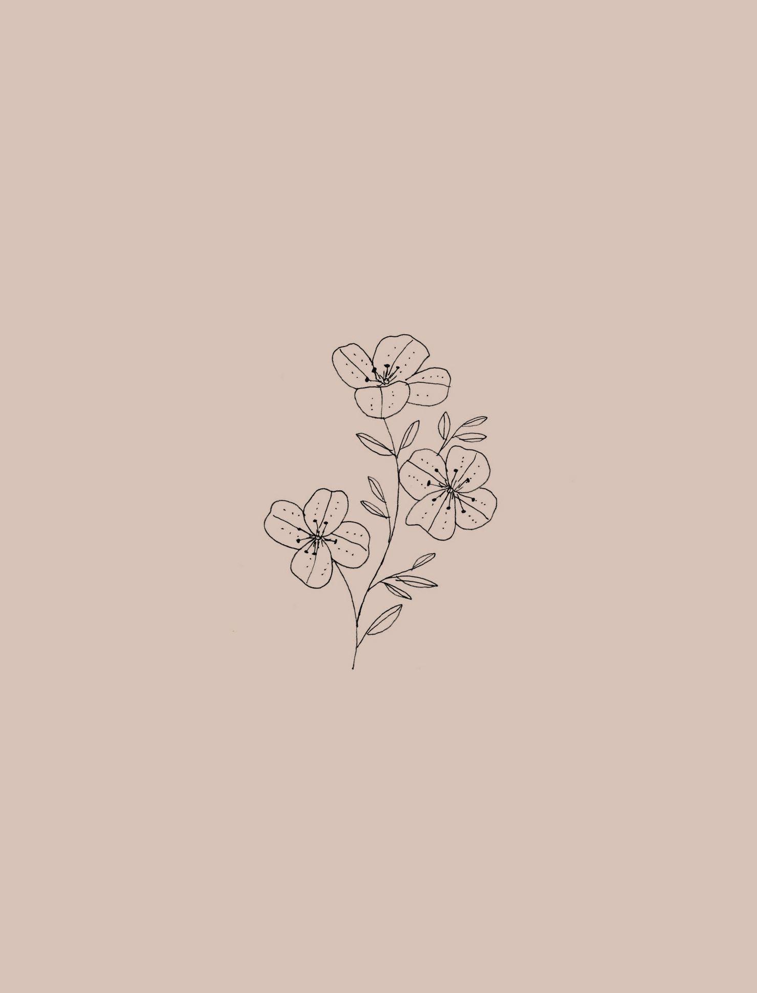 Single Flower Drawing Wallpapers - Top Free Single Flower Drawing ...