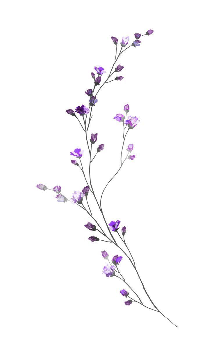 Single Flower Drawing Wallpapers - Top Free Single Flower Drawing ...