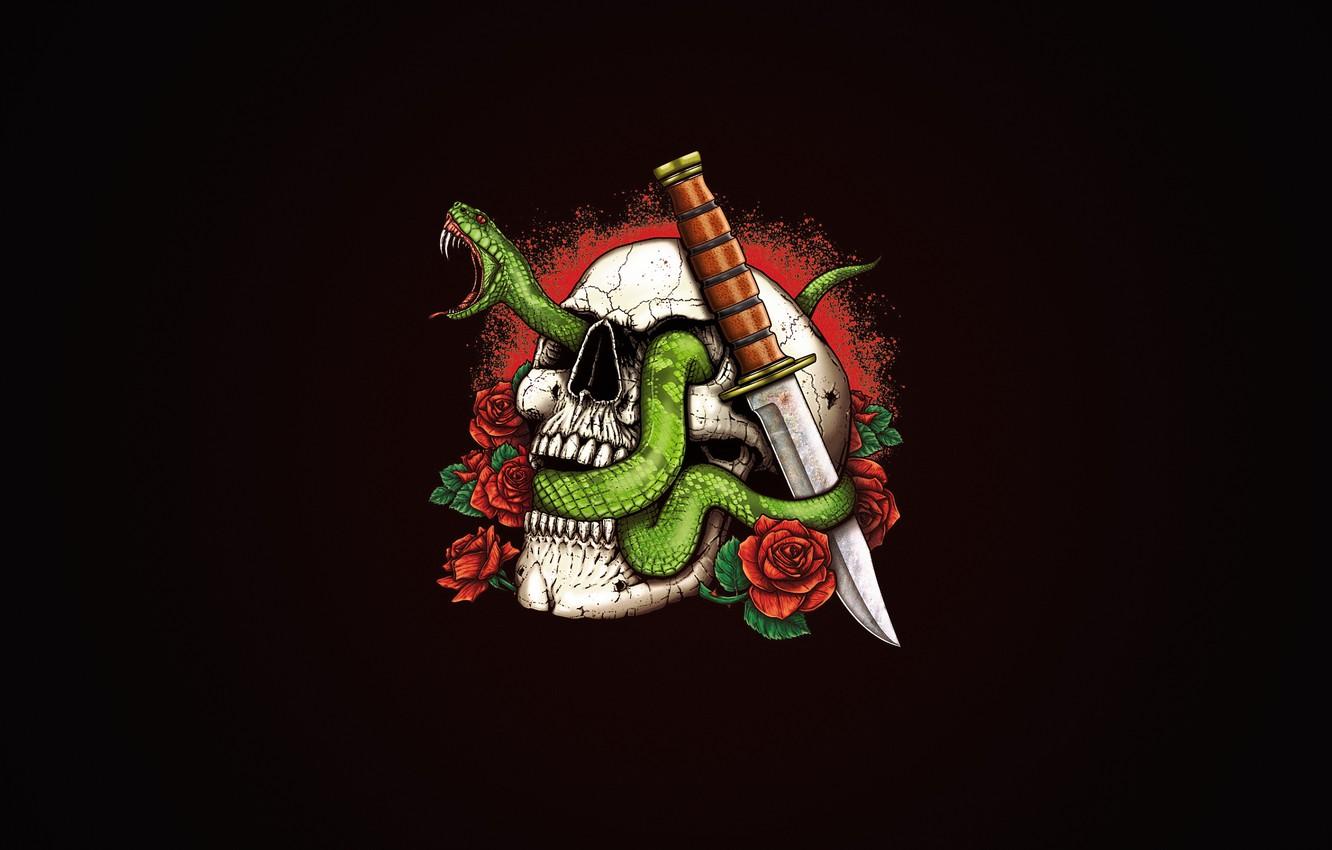 Rose Snake Wallpapers - Top Free Rose Snake Backgrounds - WallpaperAccess