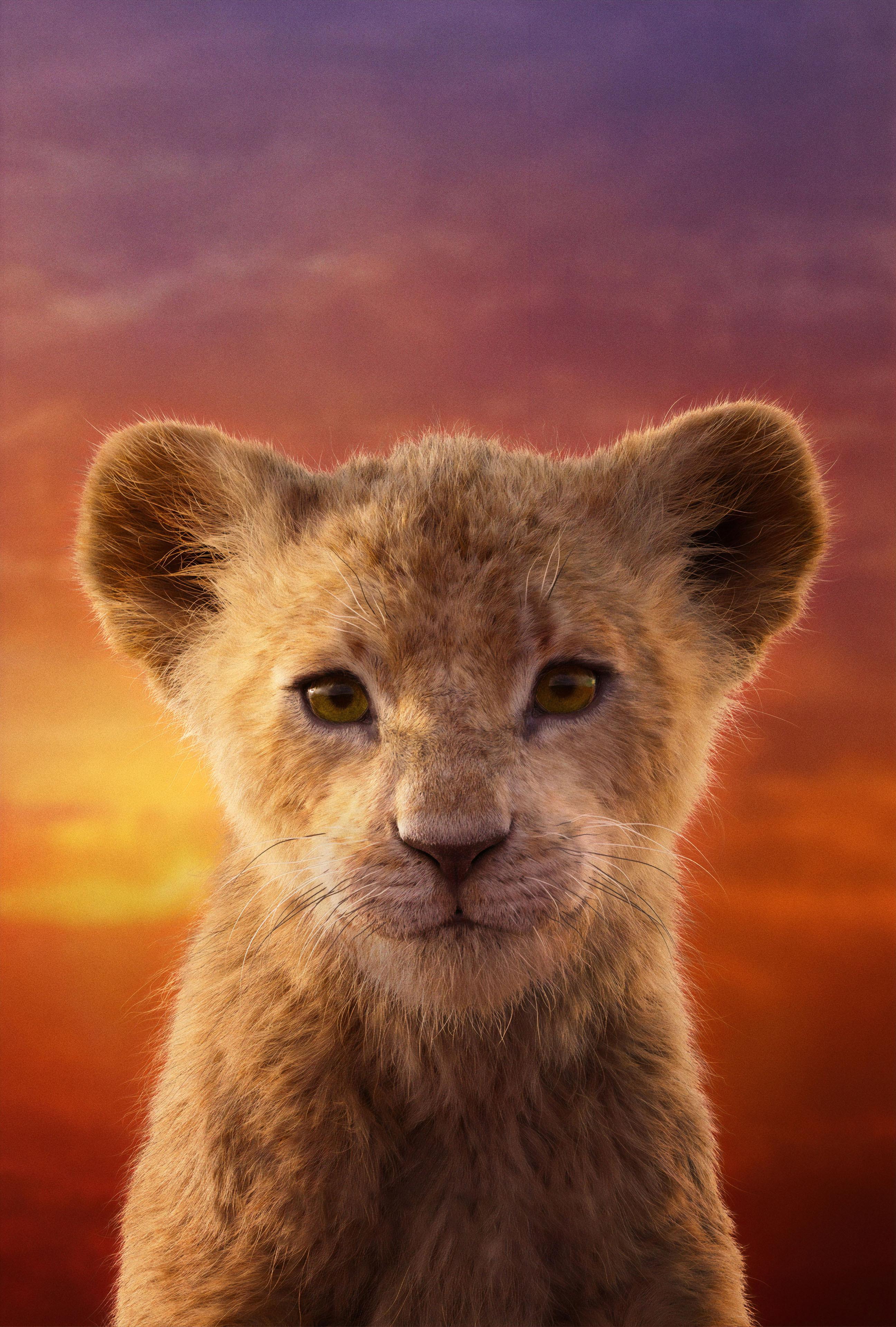 Baby Lion King Wallpapers - Top Free Baby Lion King Backgrounds ...