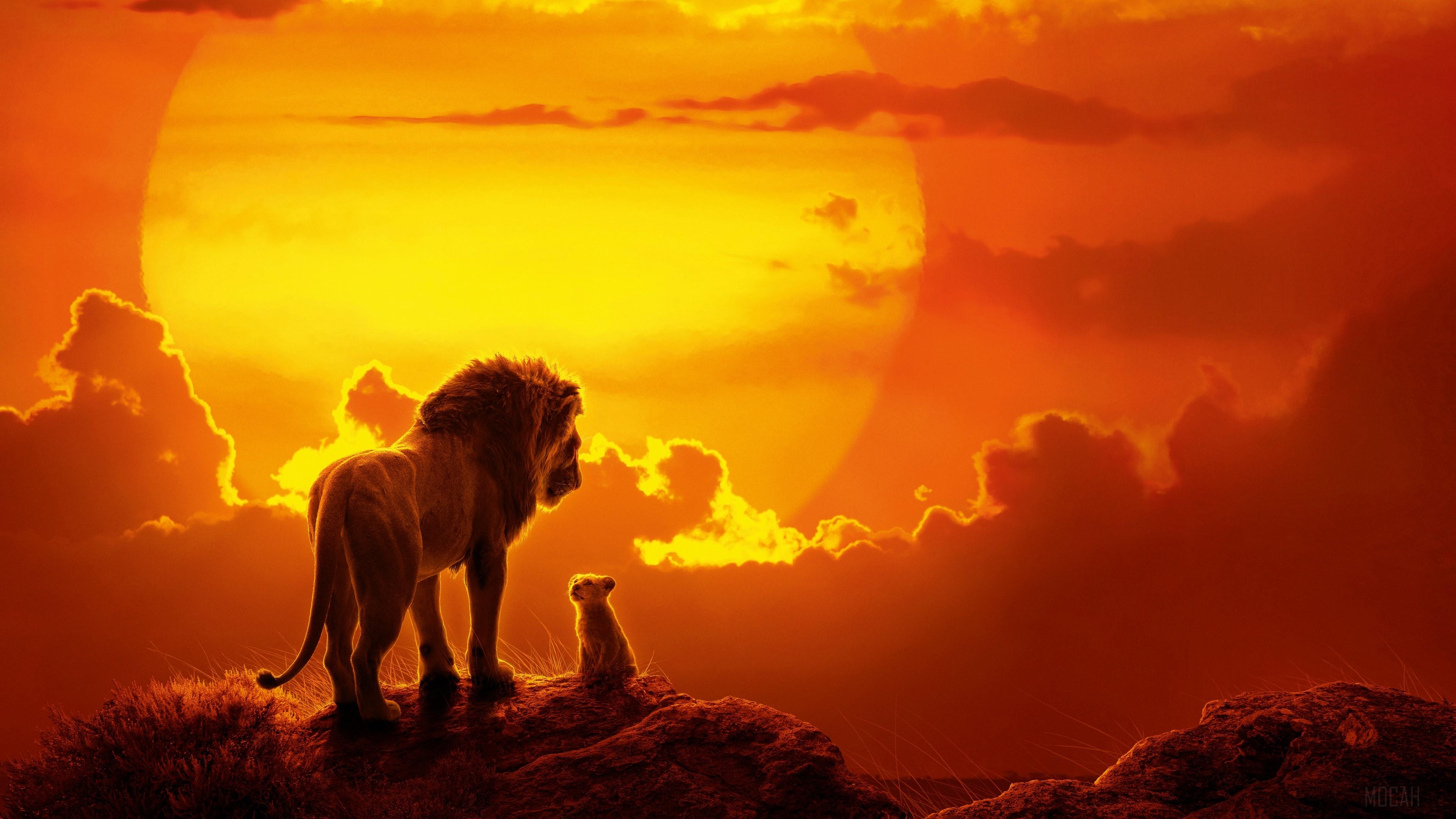Baby Lion King Wallpapers - Top Free Baby Lion King Backgrounds ...