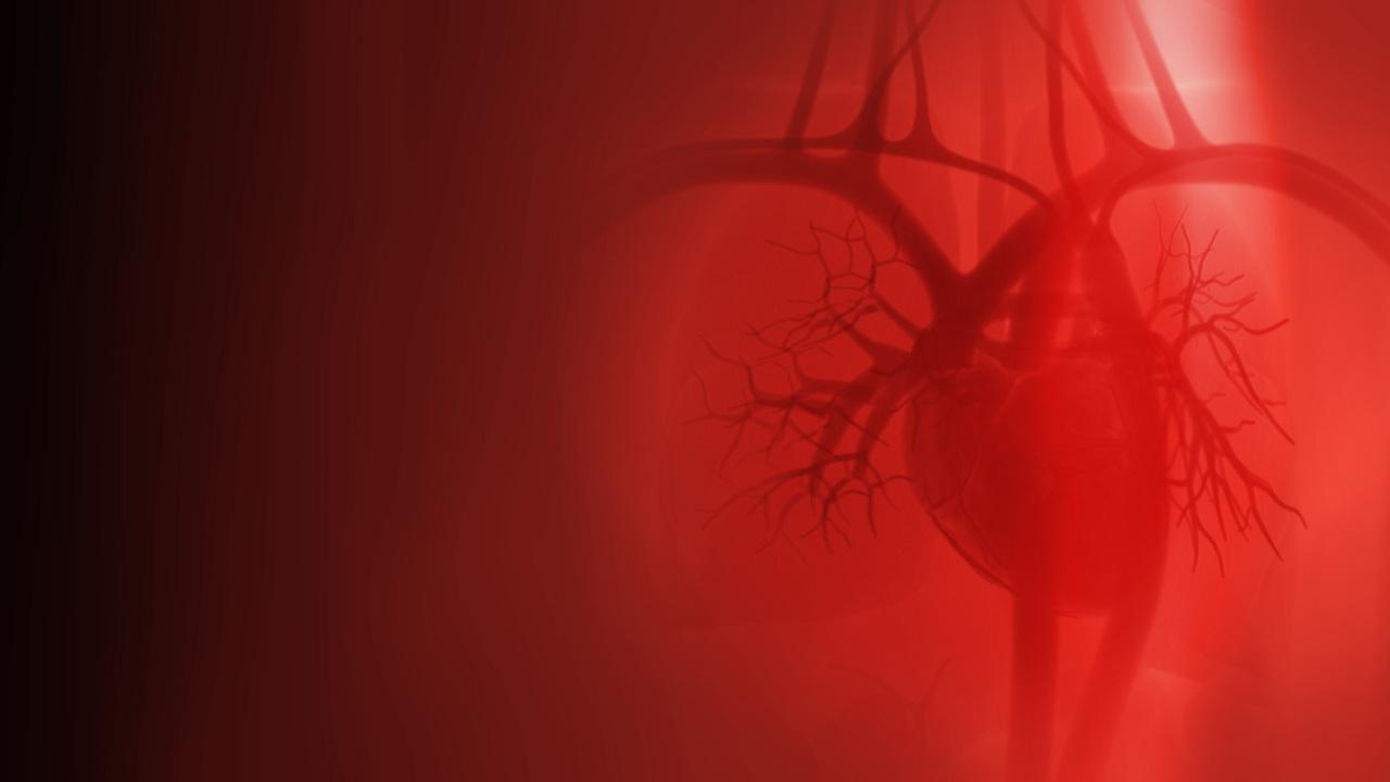 Cardiology Desktop Wallpapers - Top Free Cardiology Desktop Backgrounds ...