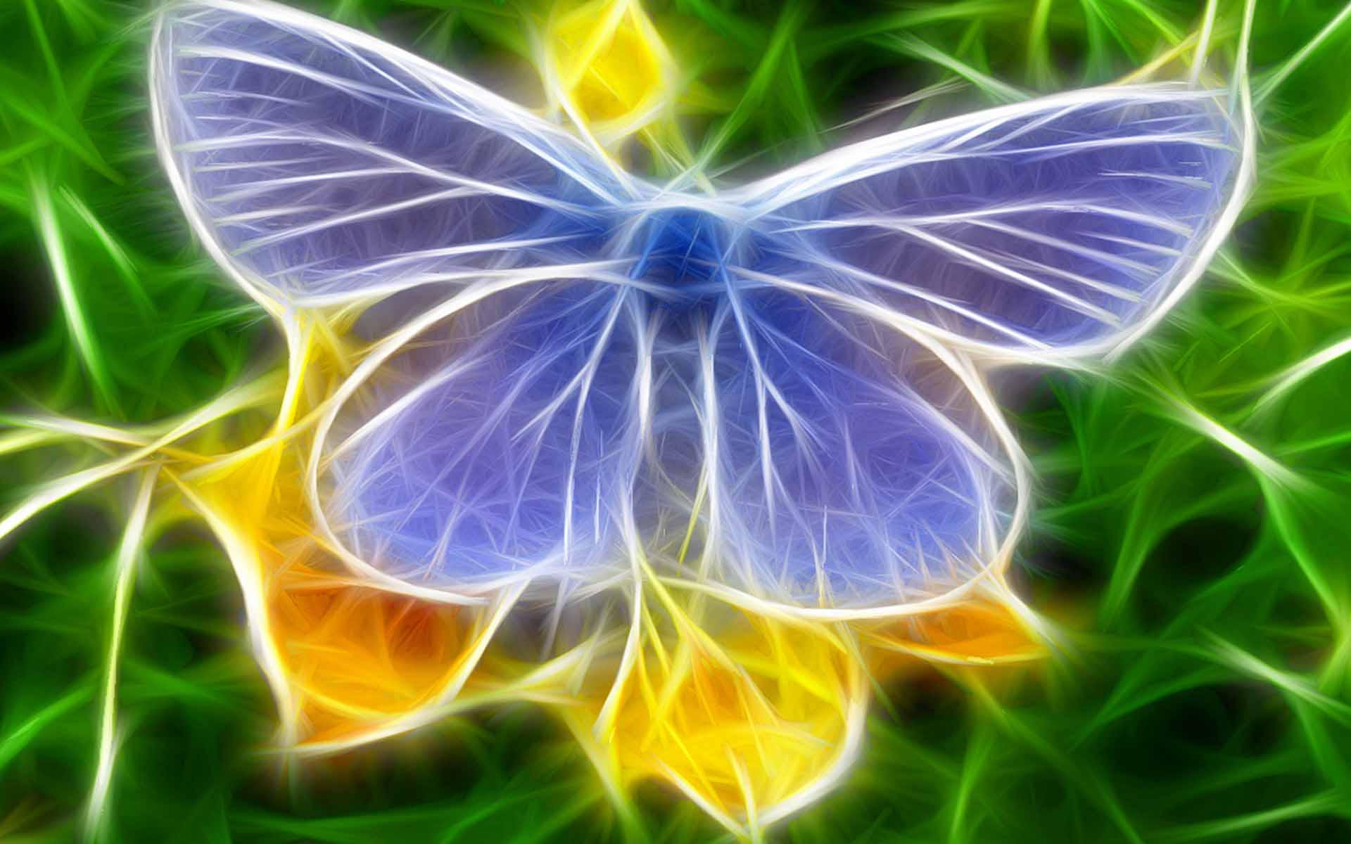 Awesome Butterfly Wallpapers - Top Free Awesome Butterfly Backgrounds ...