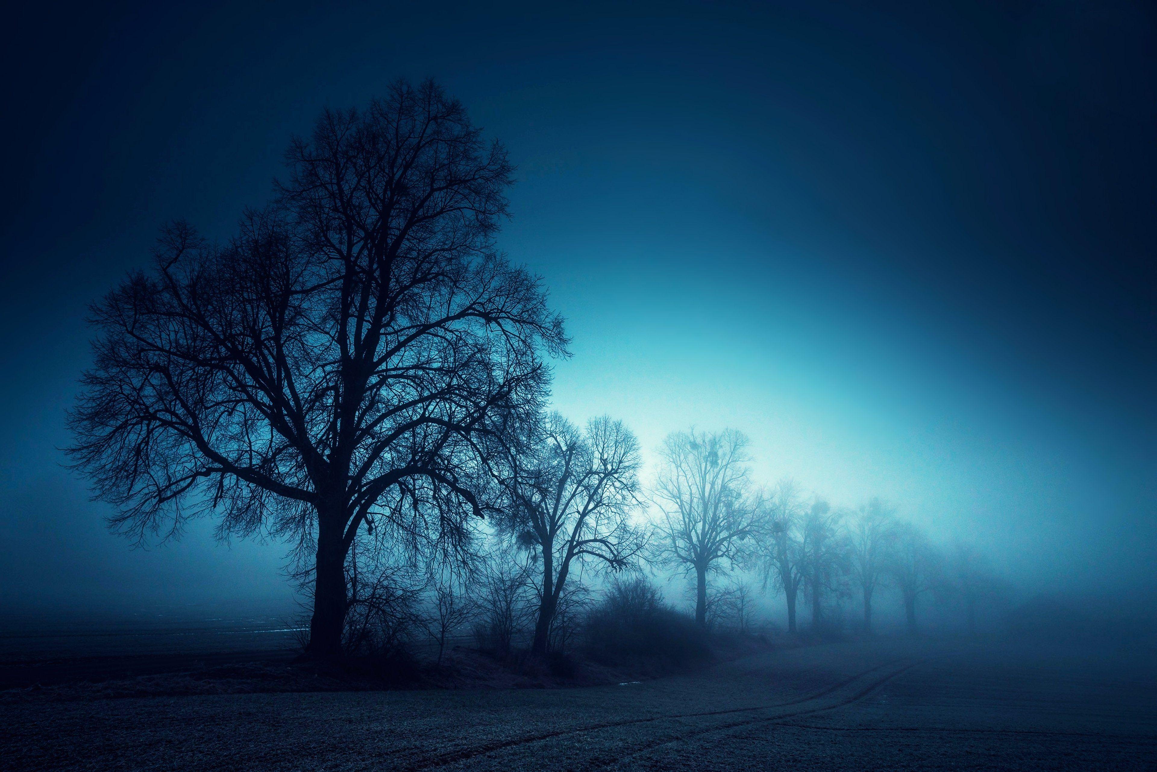 Foggy Ultra HD Landscape Wallpapers - Top Free Foggy Ultra HD Landscape ...