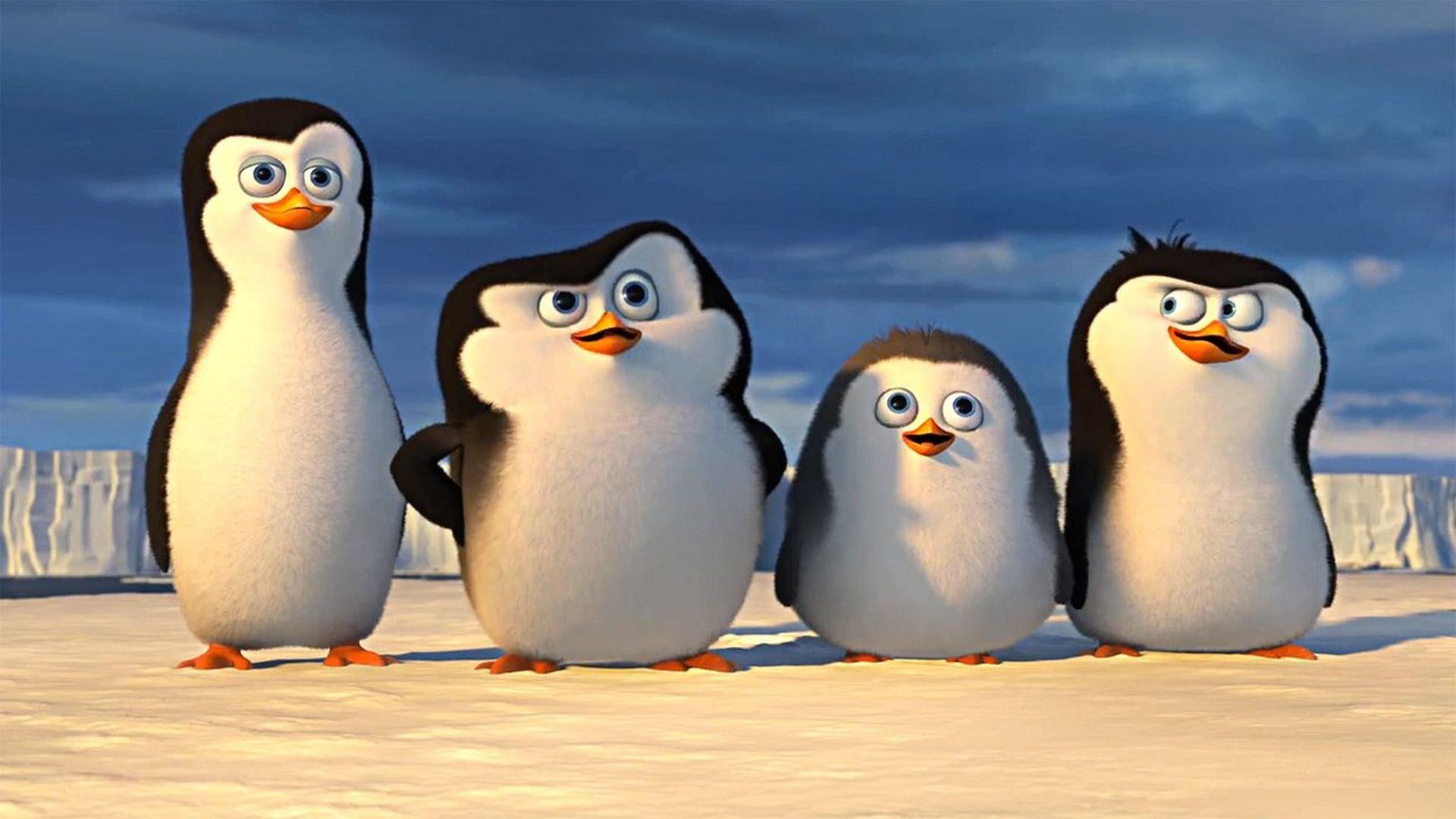 Cute Winter Penguin Wallpapers - Top Free Cute Winter Penguin ...