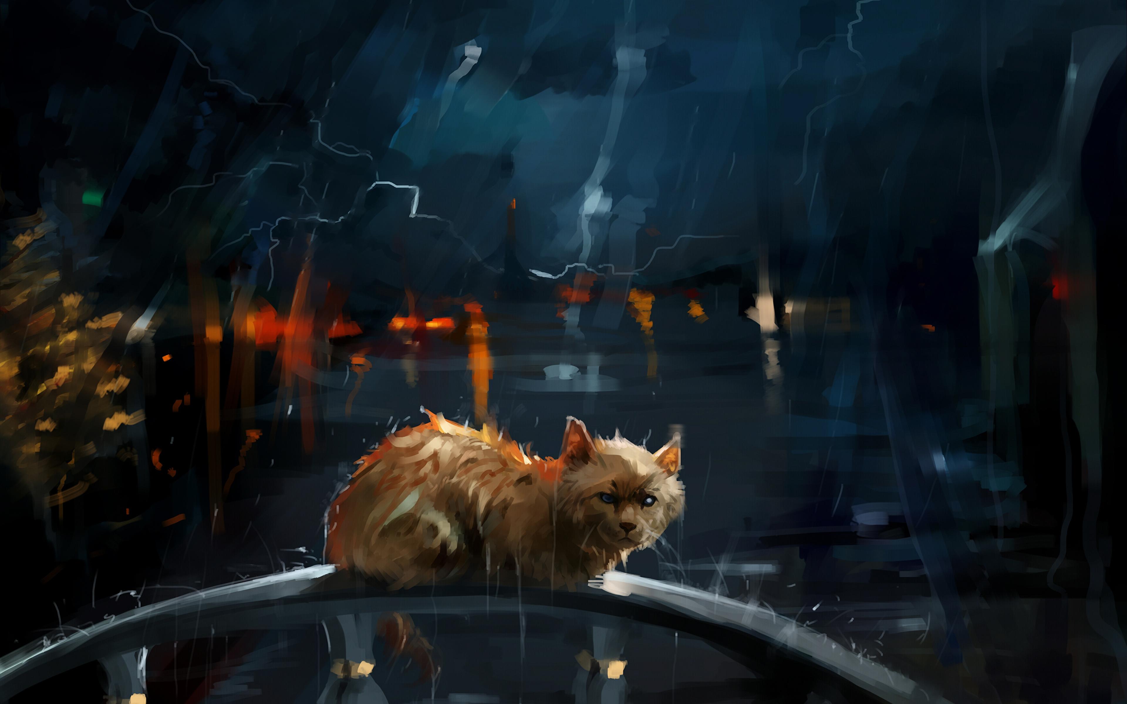 Cat Rain Wallpapers - Top Free Cat Rain Backgrounds - WallpaperAccess