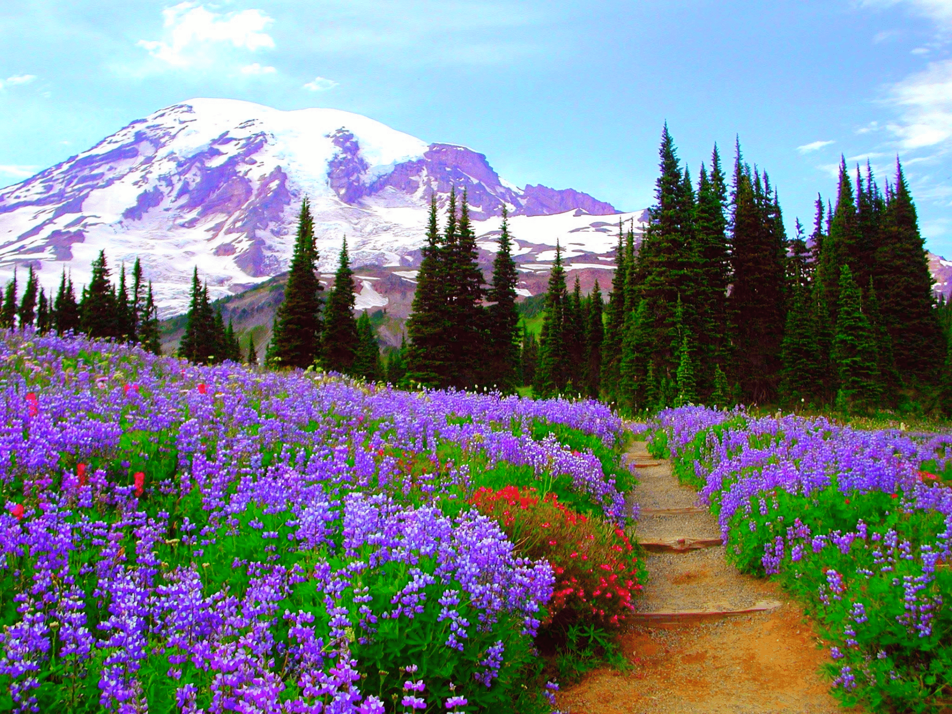 Mountain and Flowers Wallpapers - Top Free Mountain and Flowers ...