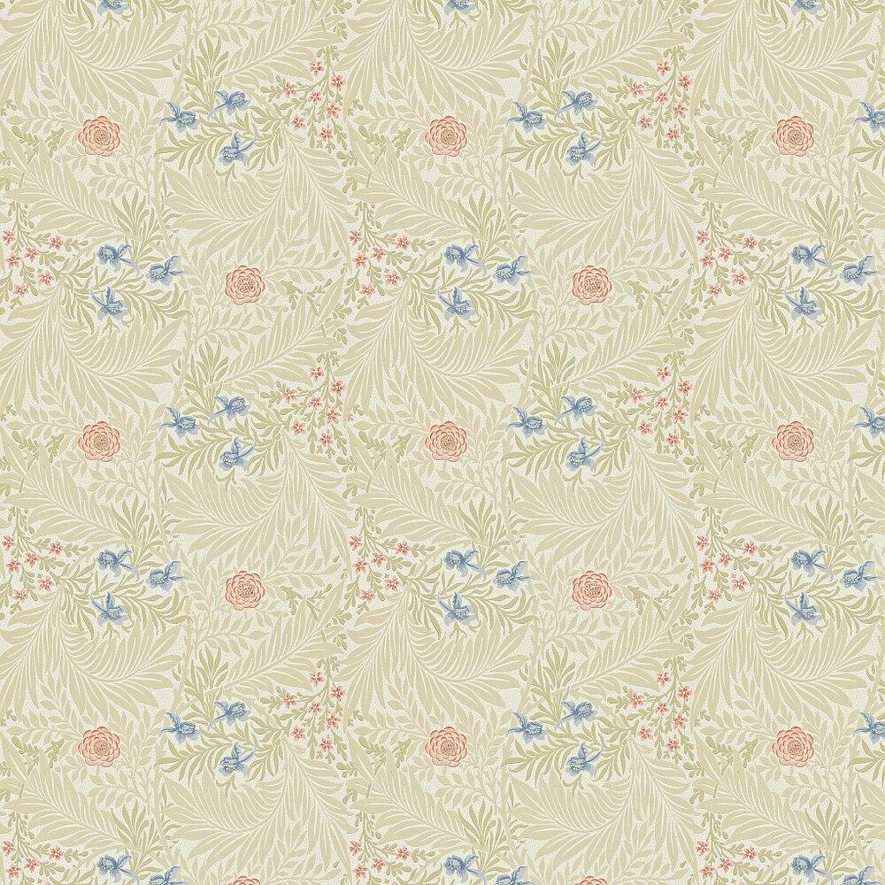 Larkspur Wallpapers - Top Free Larkspur Backgrounds - WallpaperAccess