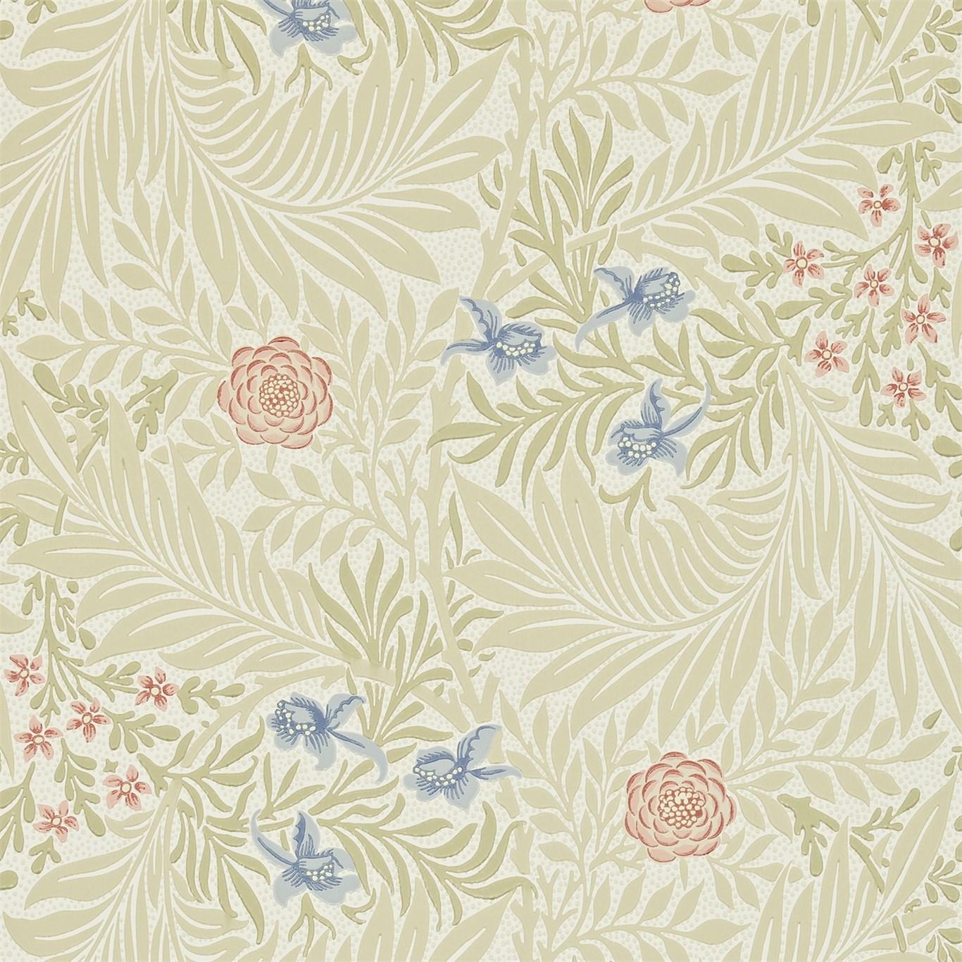 Larkspur Wallpapers - Top Free Larkspur Backgrounds - WallpaperAccess