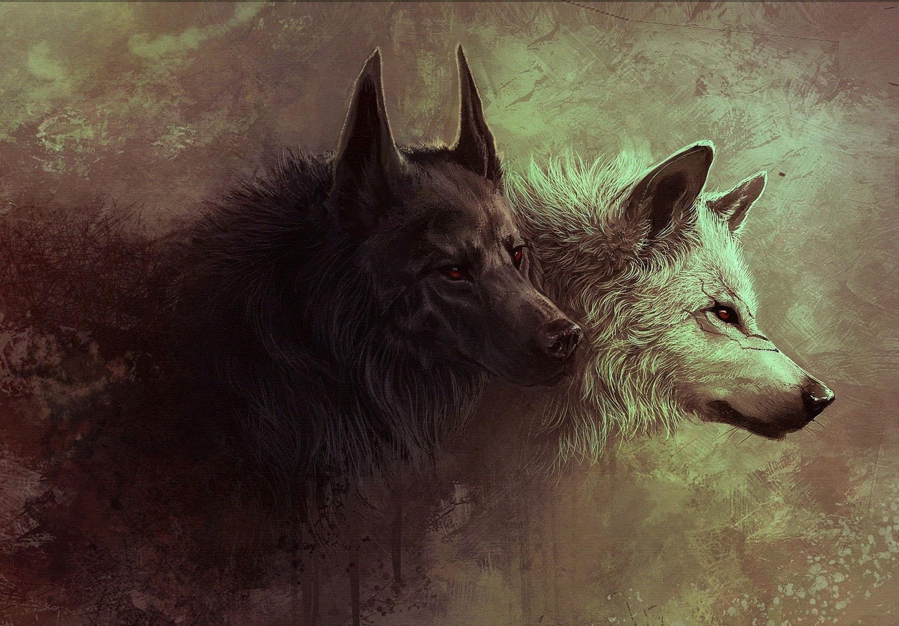 Wolf Digital Art Wallpapers - Top Free Wolf Digital Art Backgrounds ...