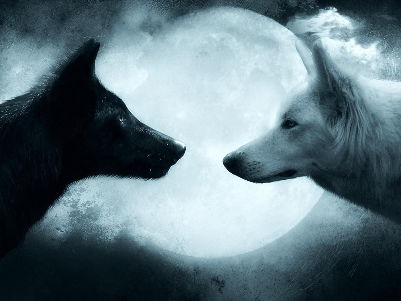 Wolf and Fox Wallpapers - Top Free Wolf and Fox Backgrounds ...
