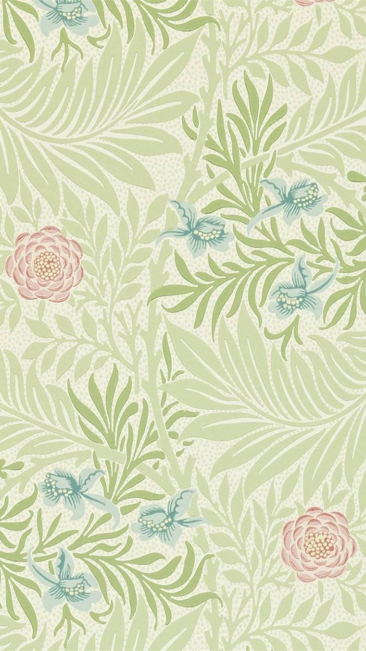 Larkspur Wallpapers - Top Free Larkspur Backgrounds - WallpaperAccess